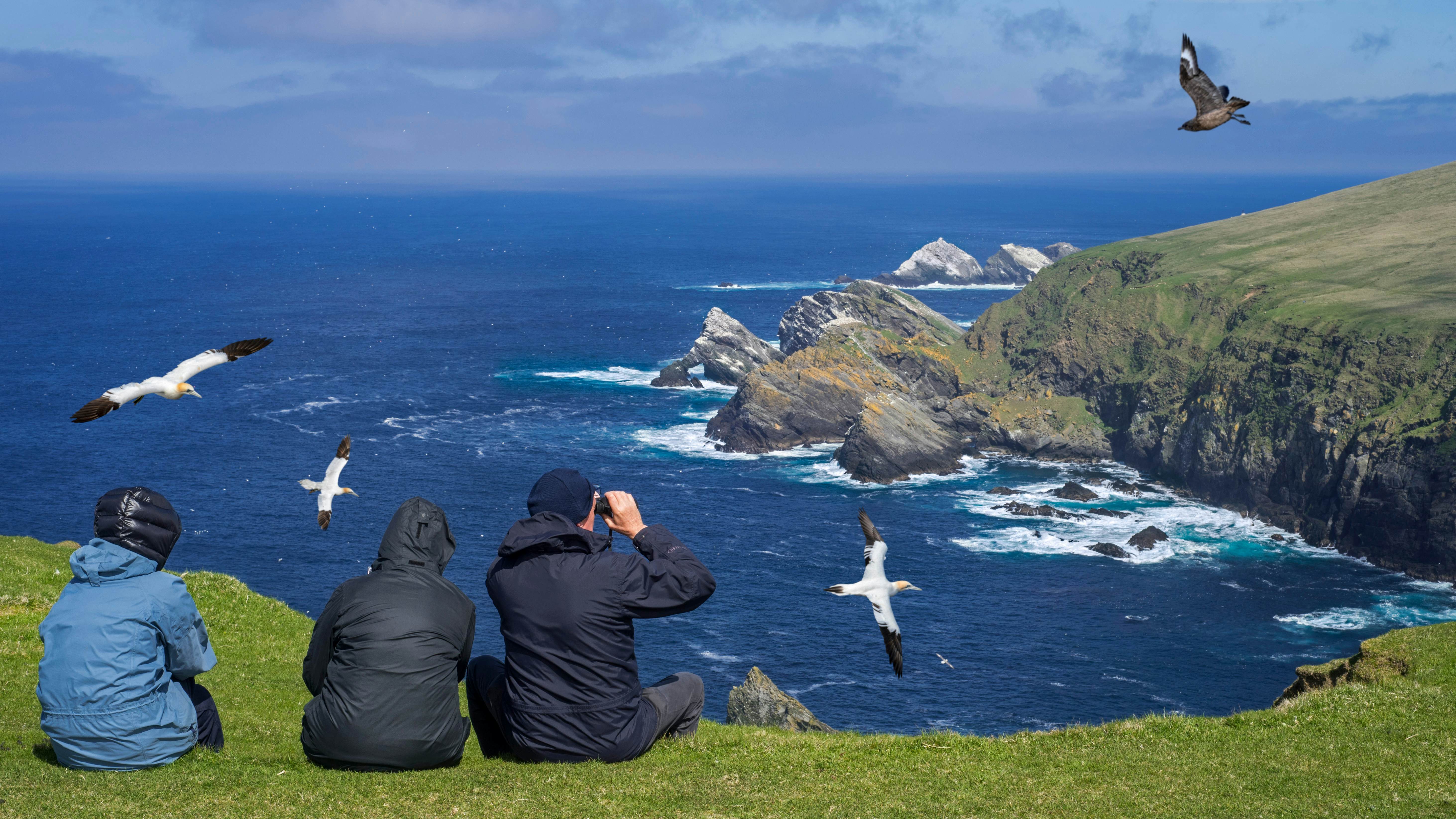 The 8 best wildlife experiences in Scotland's Highlands - Lonely Planet