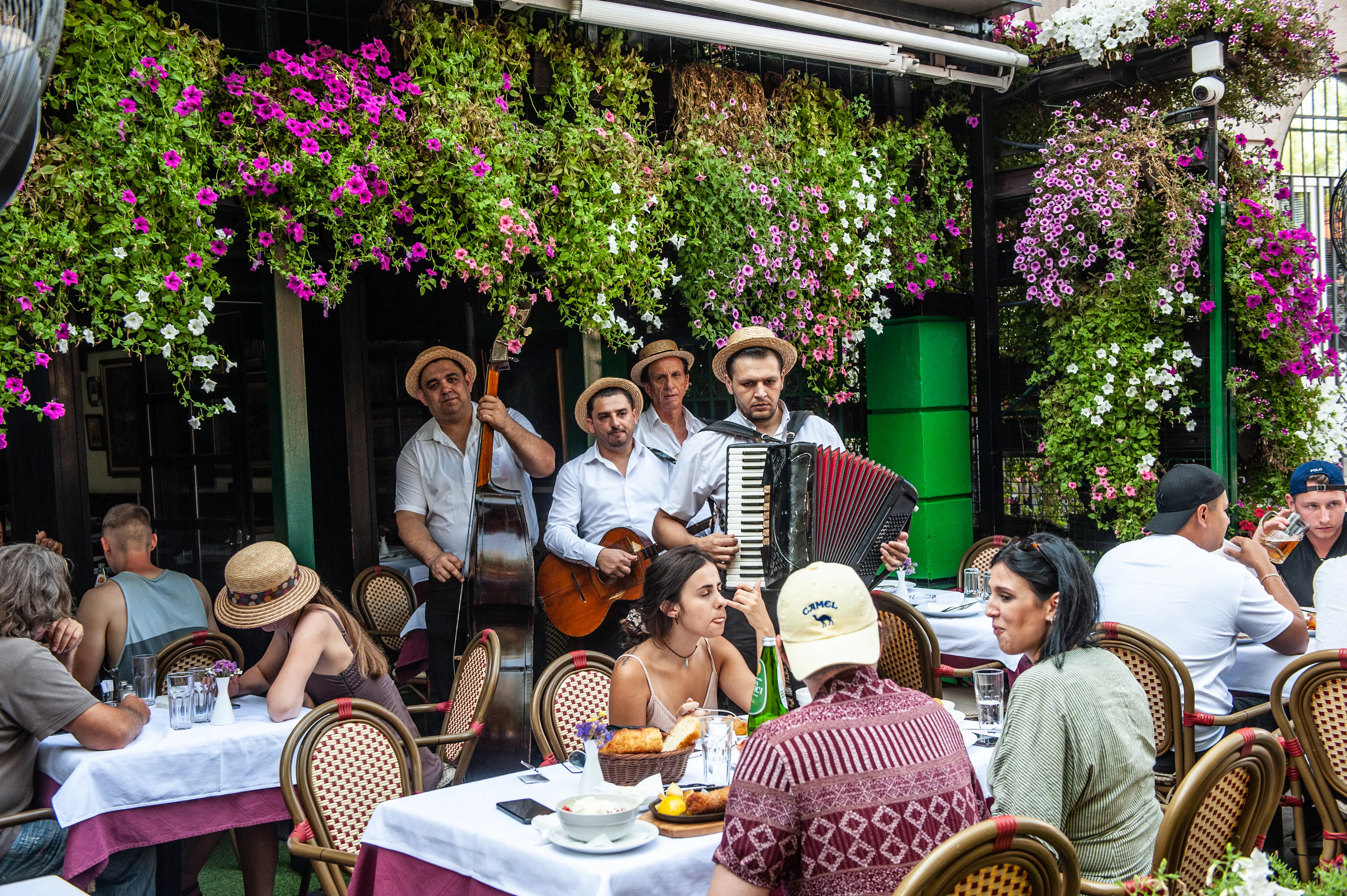 A guide to kafane in Belgrade, Serbia - Lonely Planet