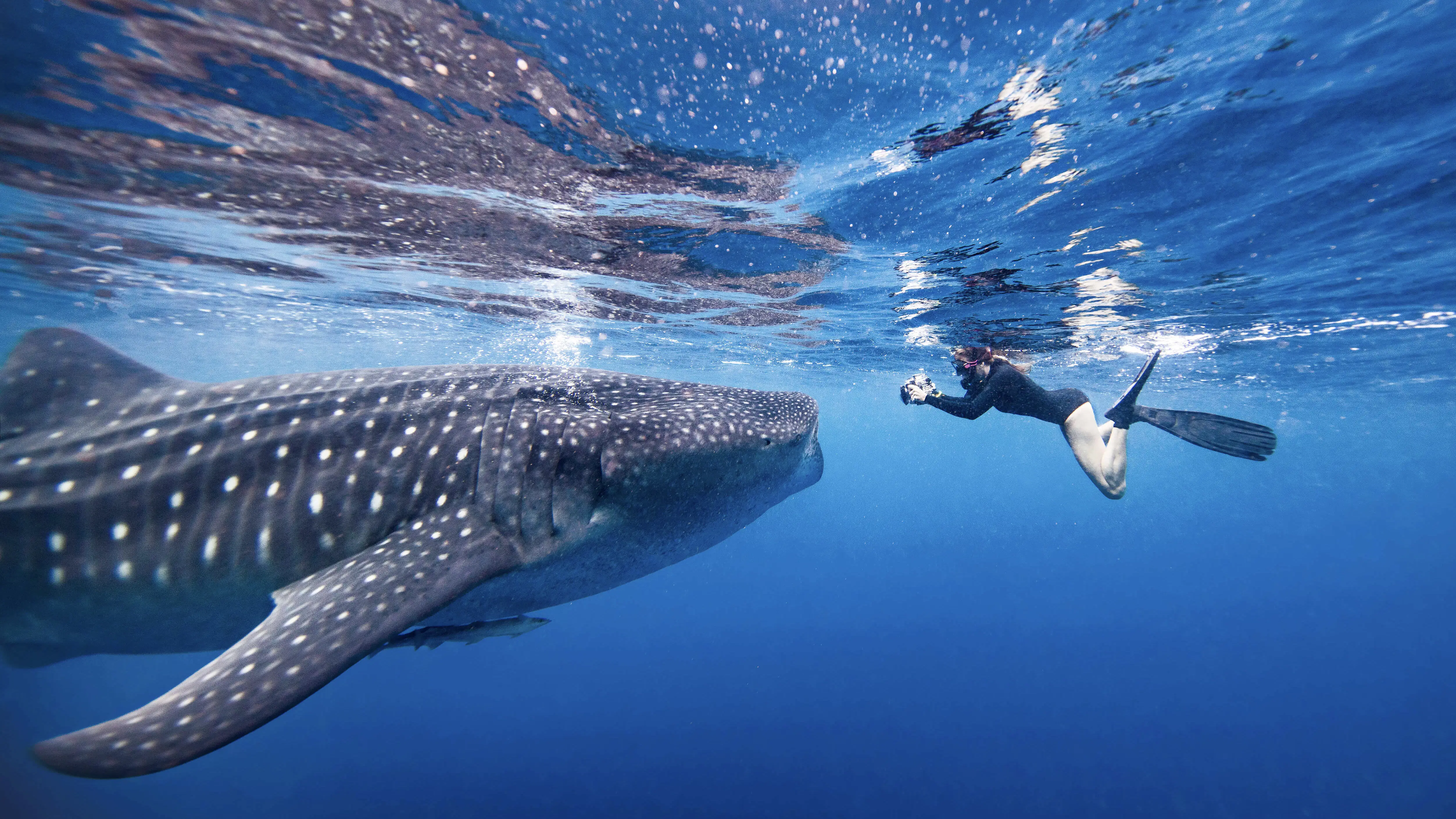 11 of the best outdoor experiences in Mexico - Lonely Planet