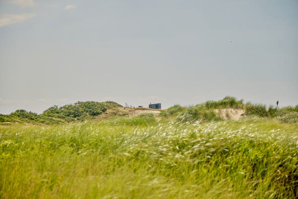A first-time guide to Cape Cod, Massachusetts - Lonely Planet