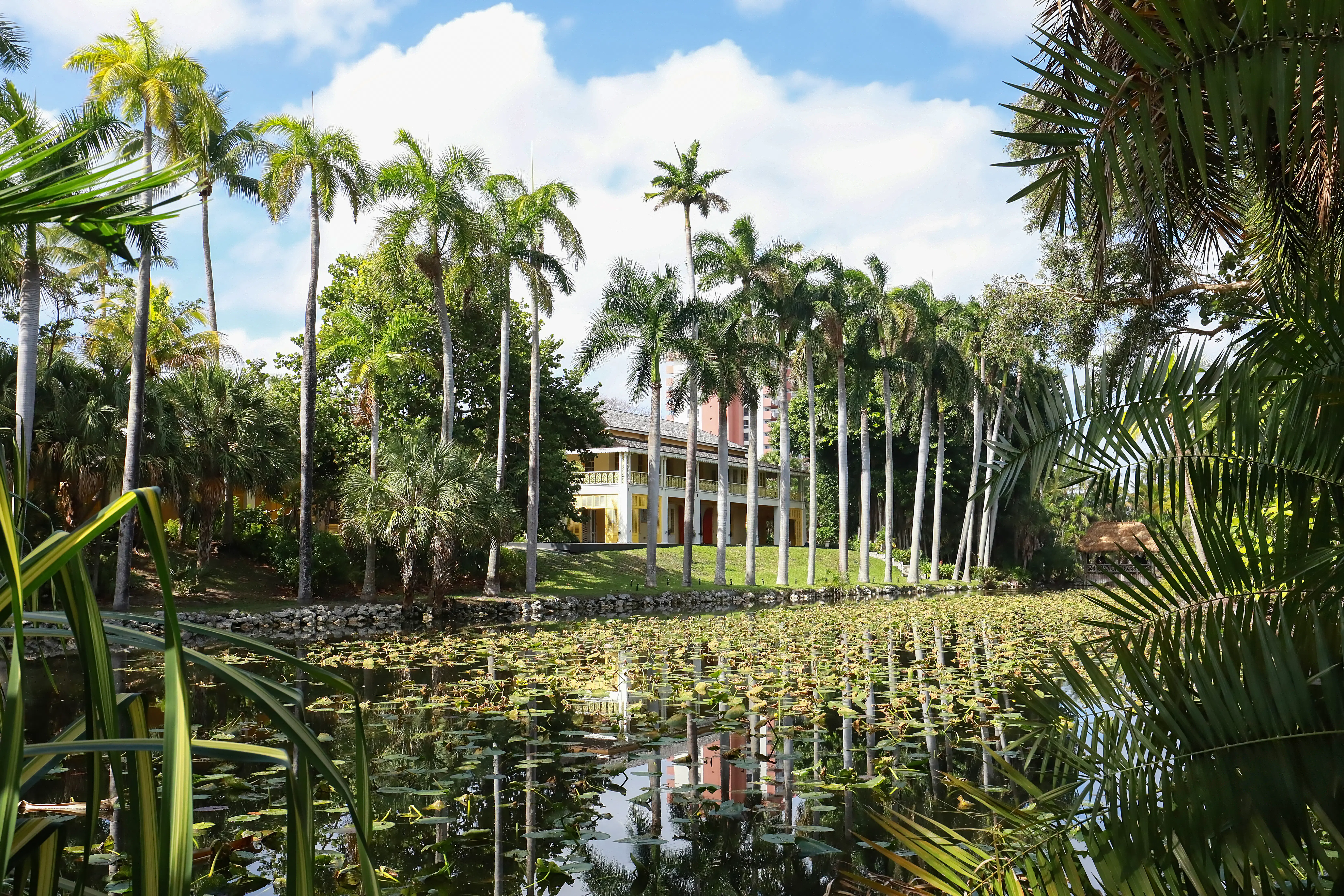Getting around in the Bahamas - Lonely Planet
