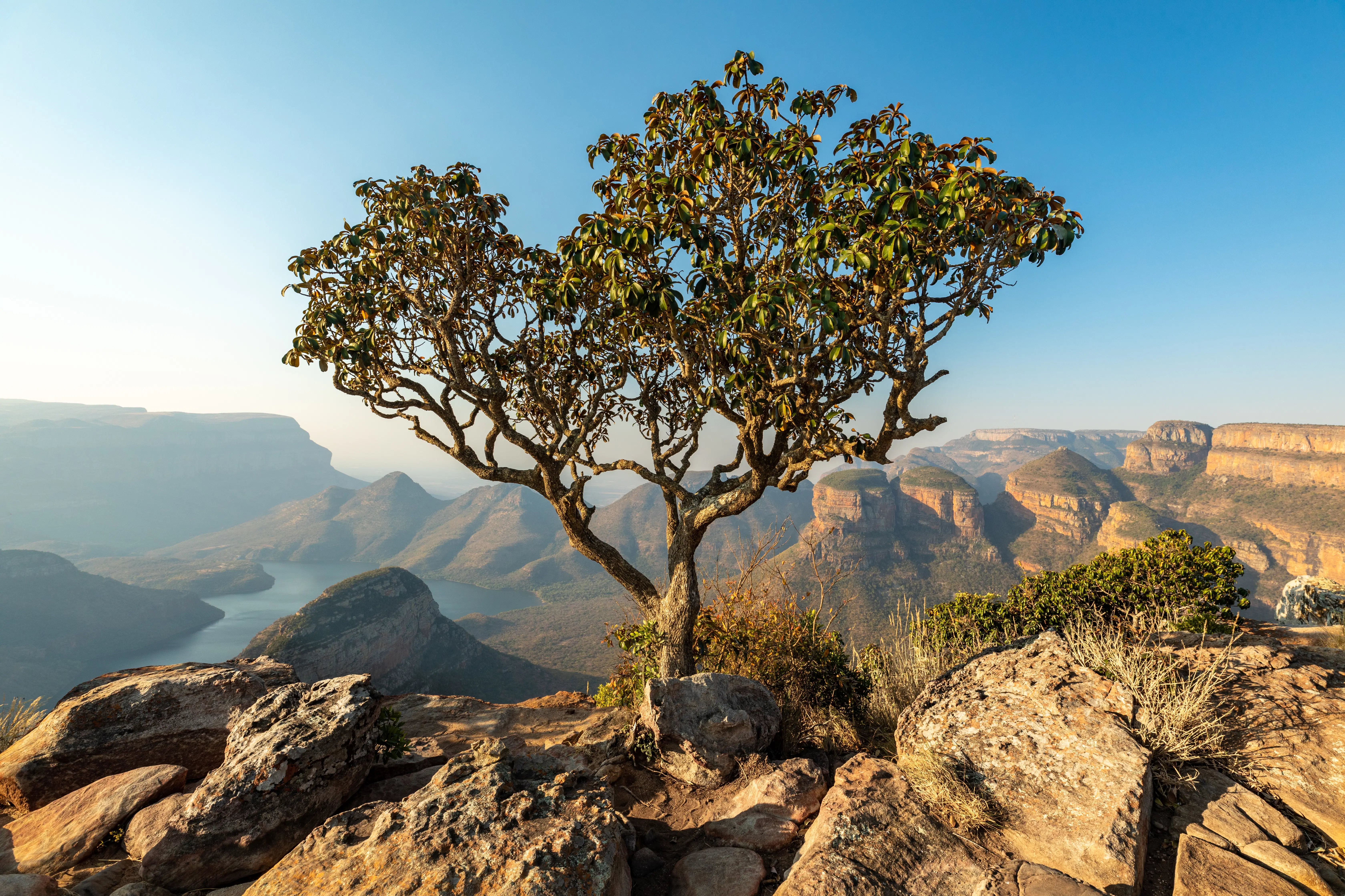 19 things to know before visiting Botswana - Lonely Planet