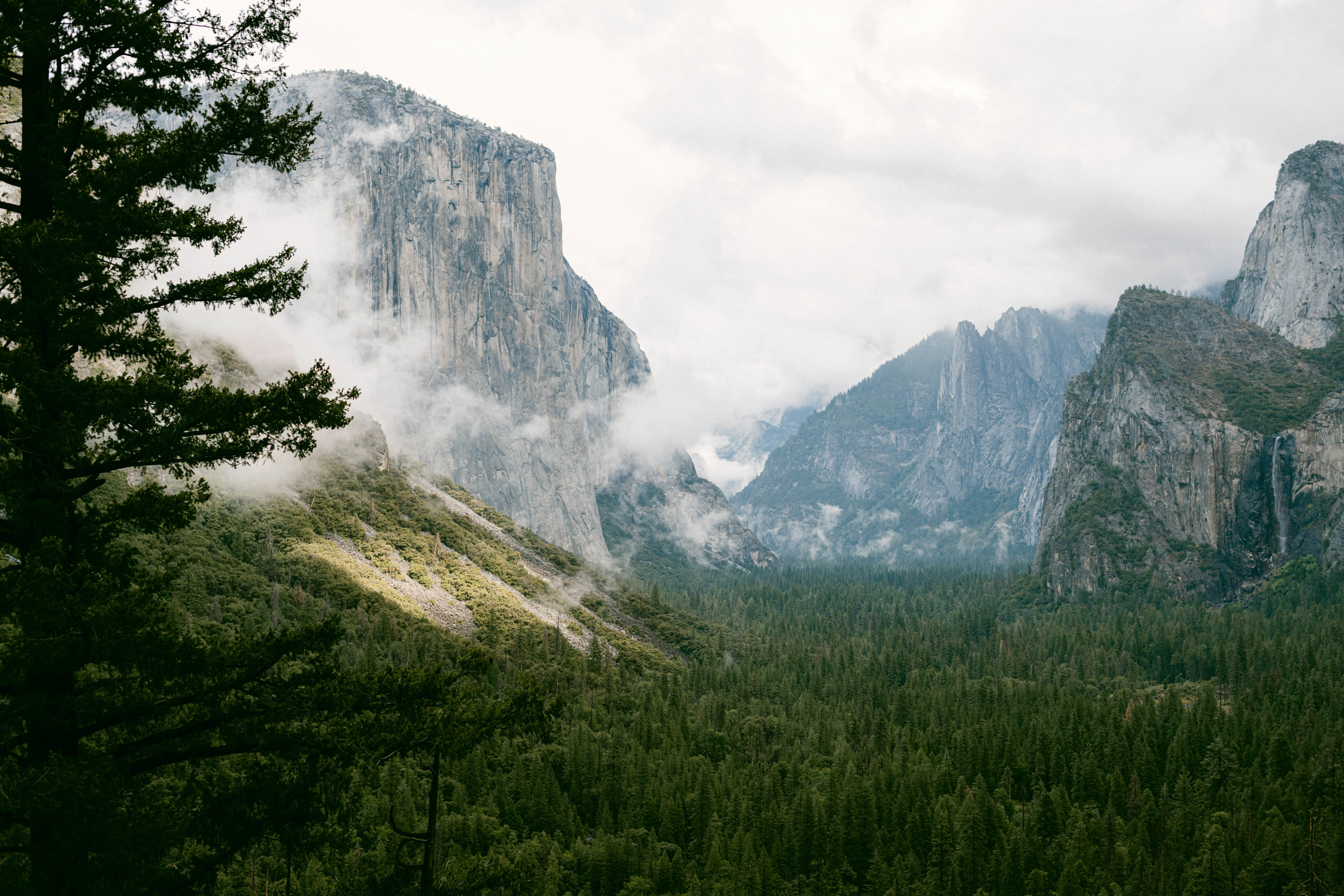 How to choose between Zion and Bryce Canyon - Lonely Planet