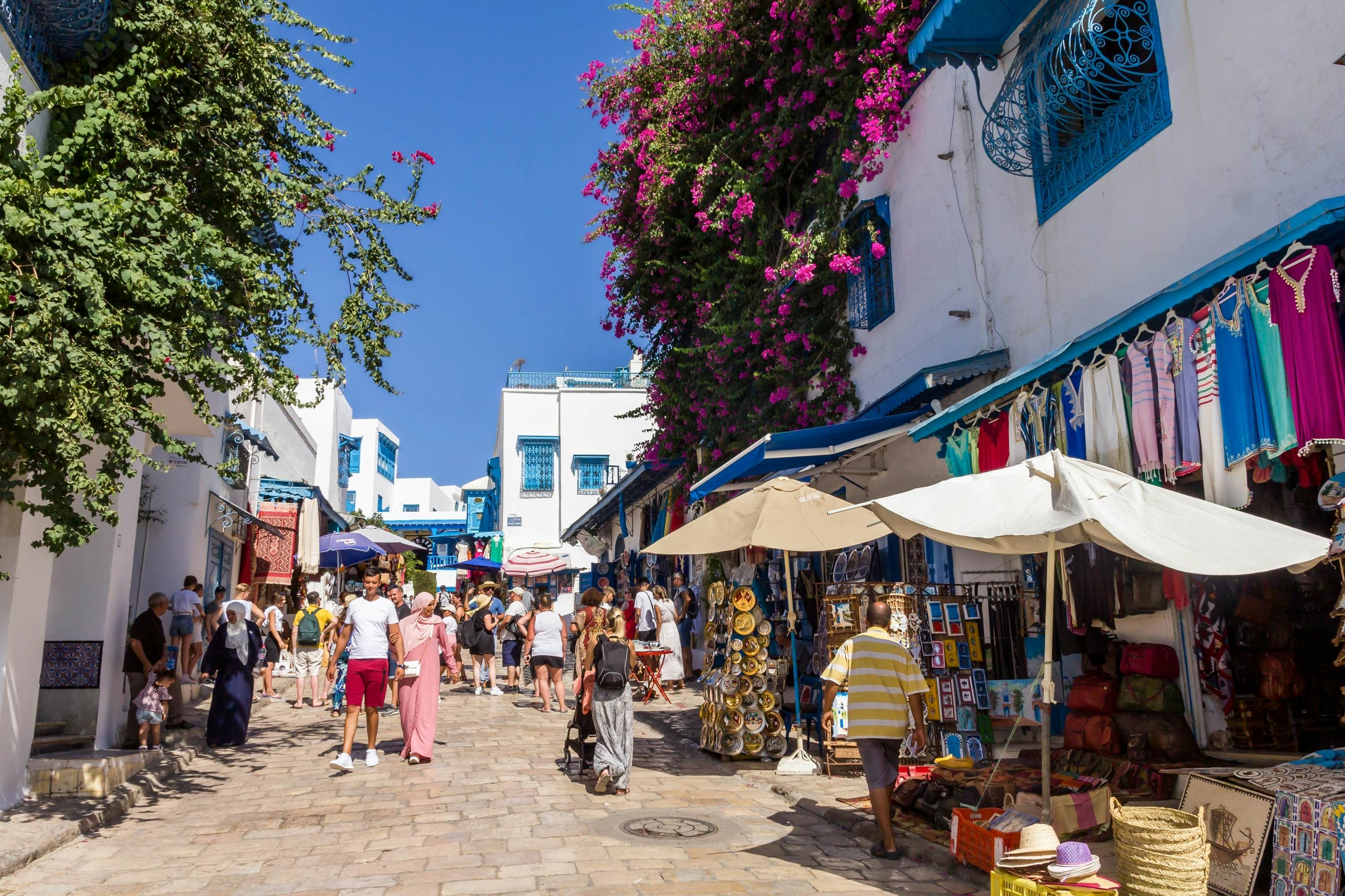A first-time guide to Sidi Bou Saïd - Lonely Planet