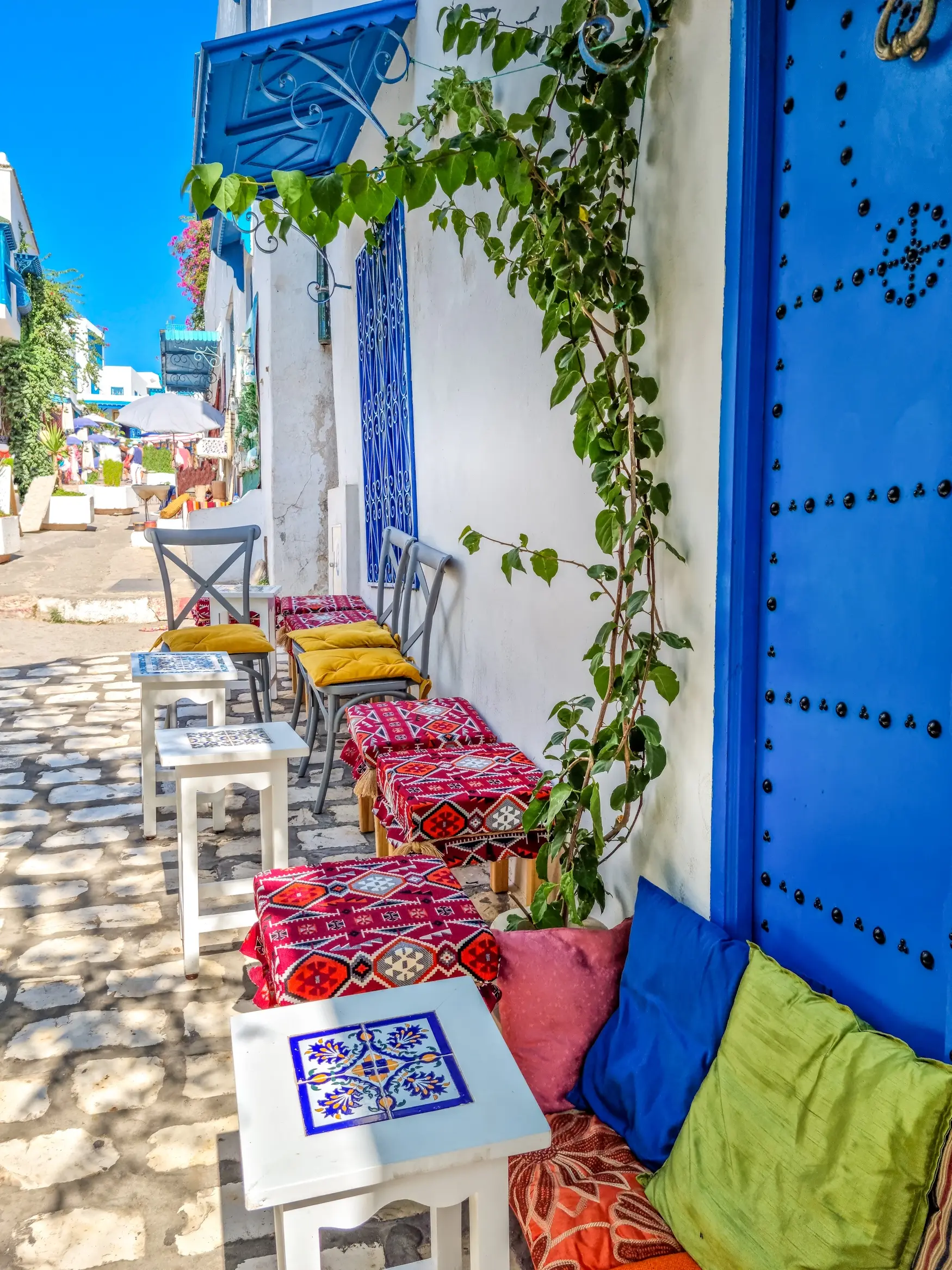 A first-time guide to Sidi Bou Saïd - Lonely Planet