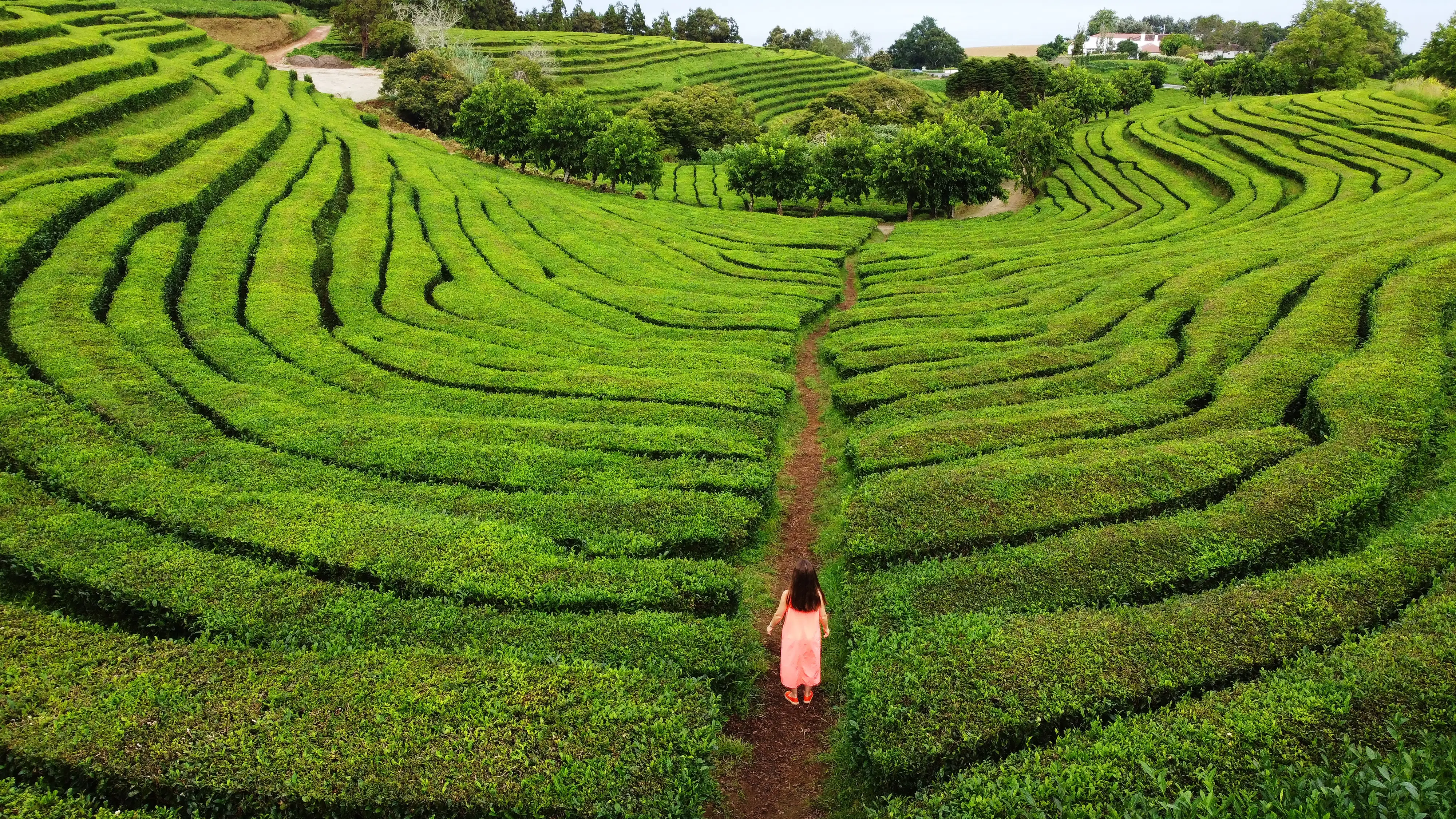 Top things to do in the Azores - Lonely Planet