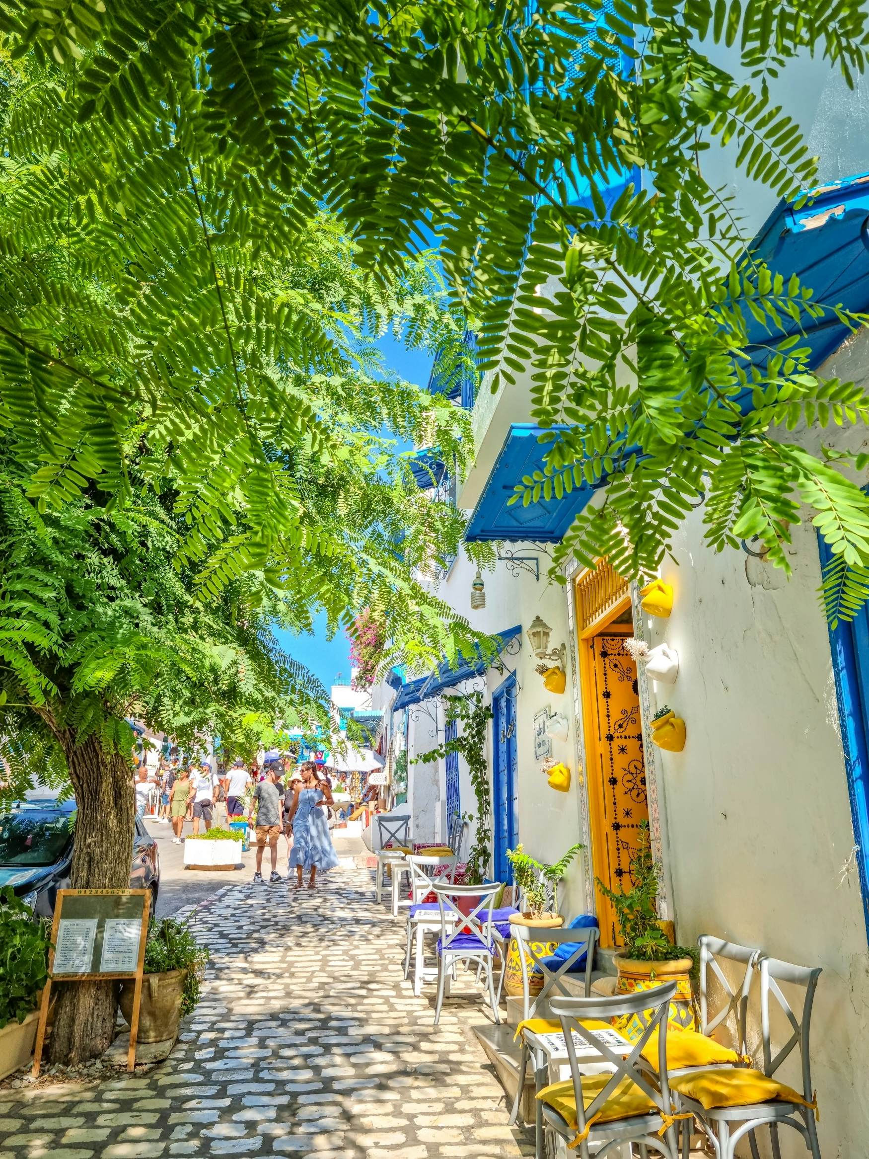 A first-time guide to Sidi Bou Saïd - Lonely Planet