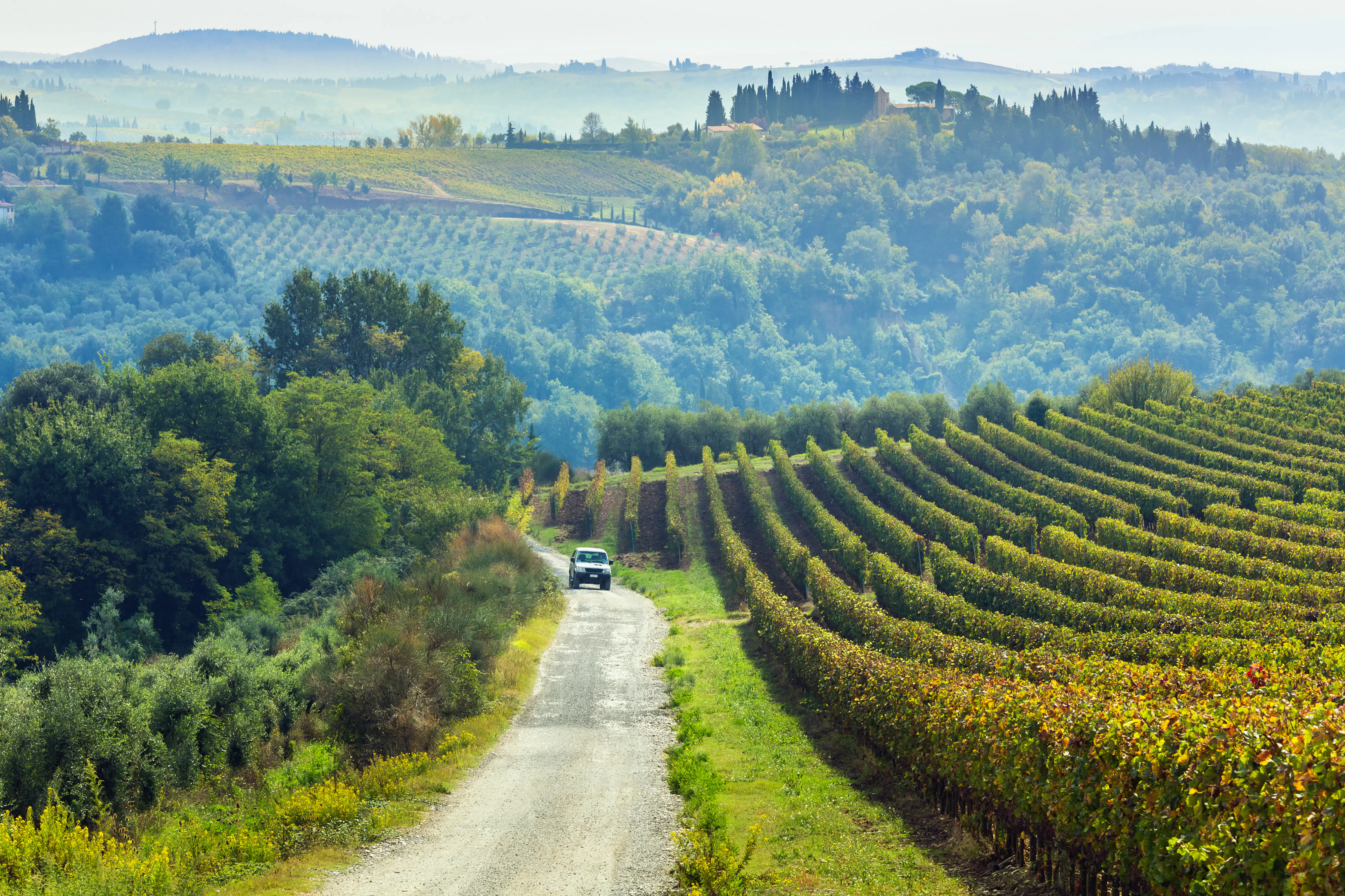 The 8 best places to visit in Burgundy - Lonely Planet