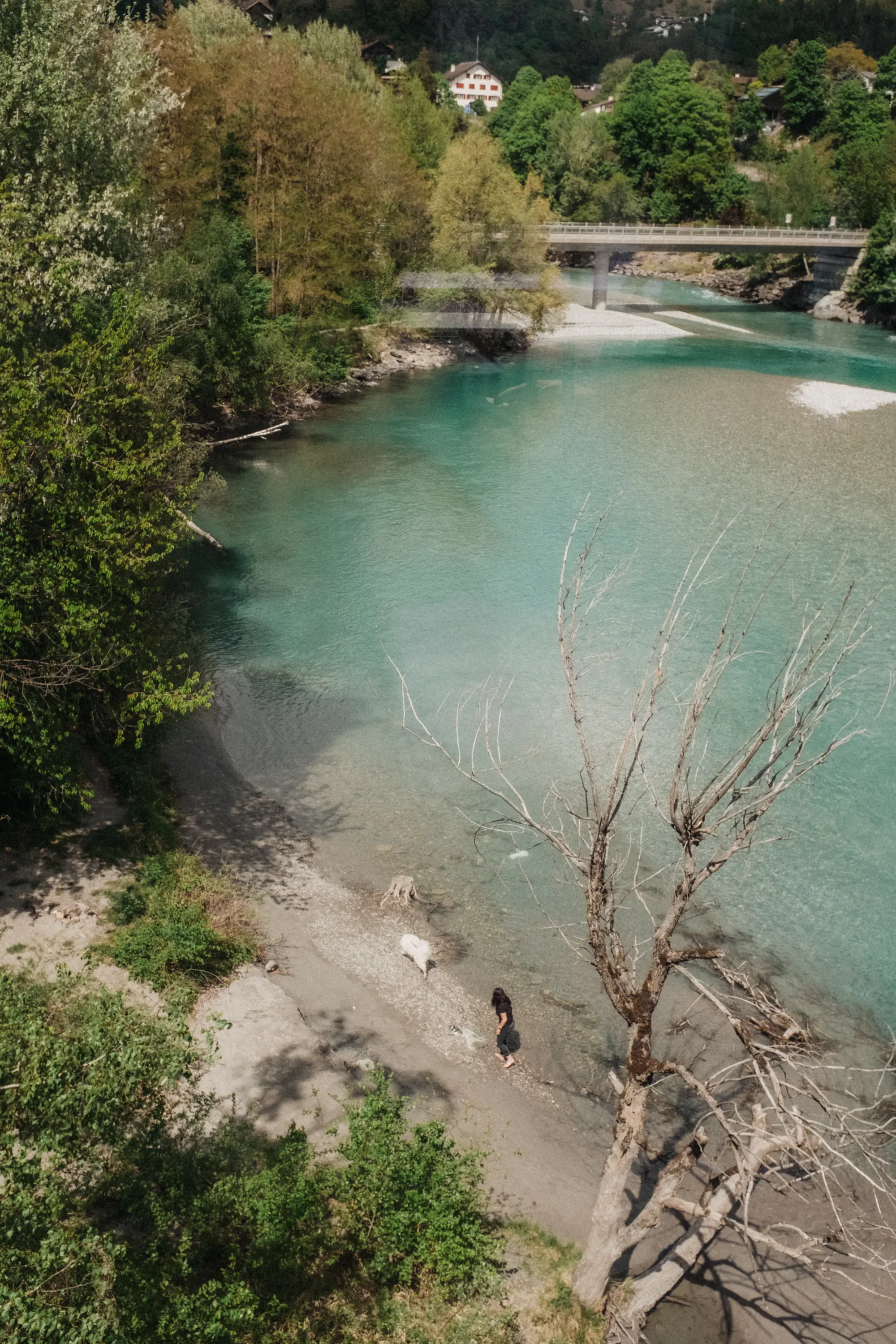Join this springtime journey across the Swiss Alps - Lonely Planet