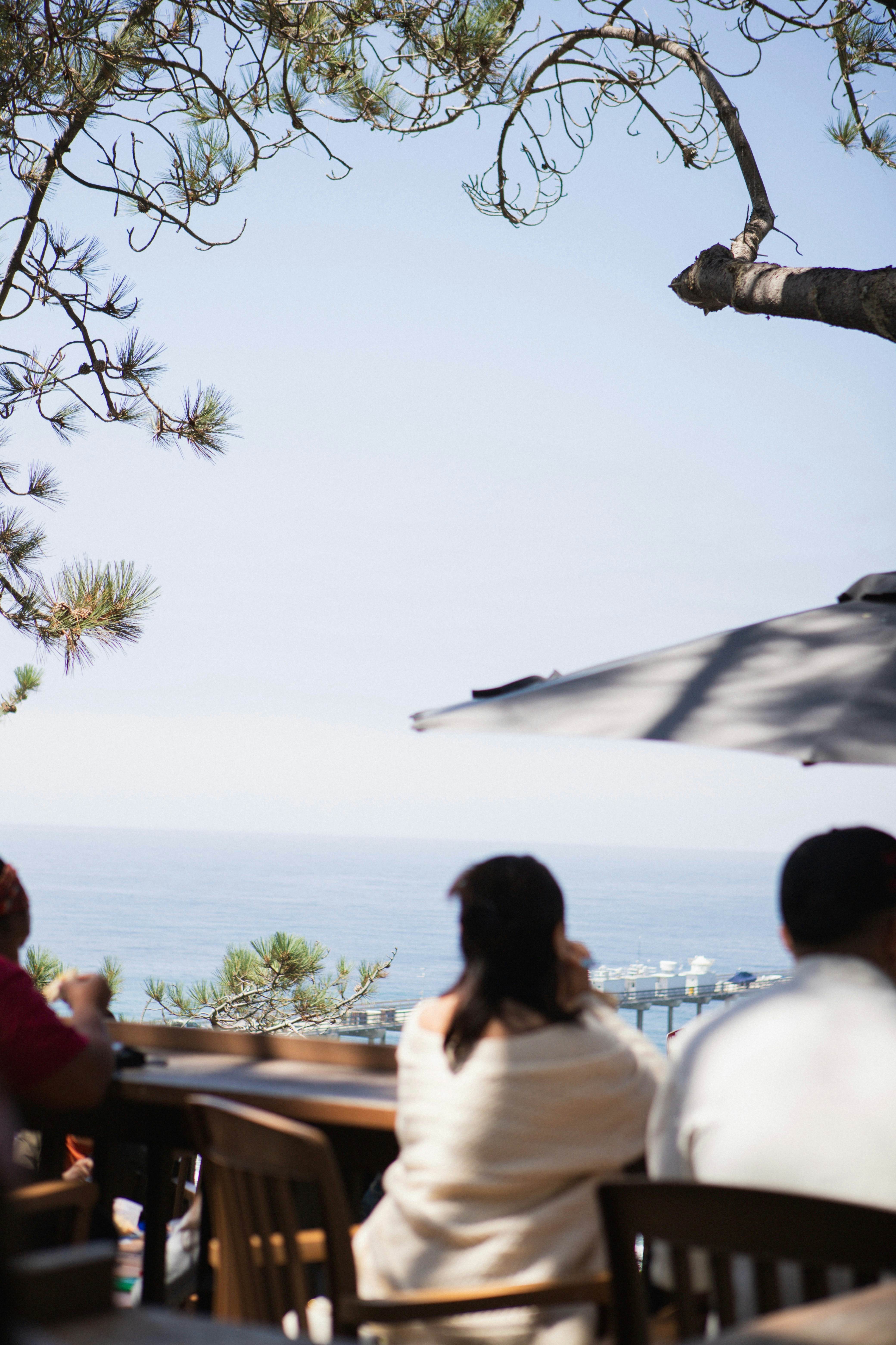 A guide to La Jolla, San Diego - Lonely Planet