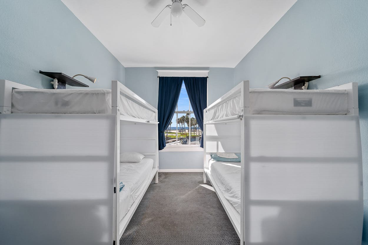 Guide to Venice, Los Angeles - Lonely Planet