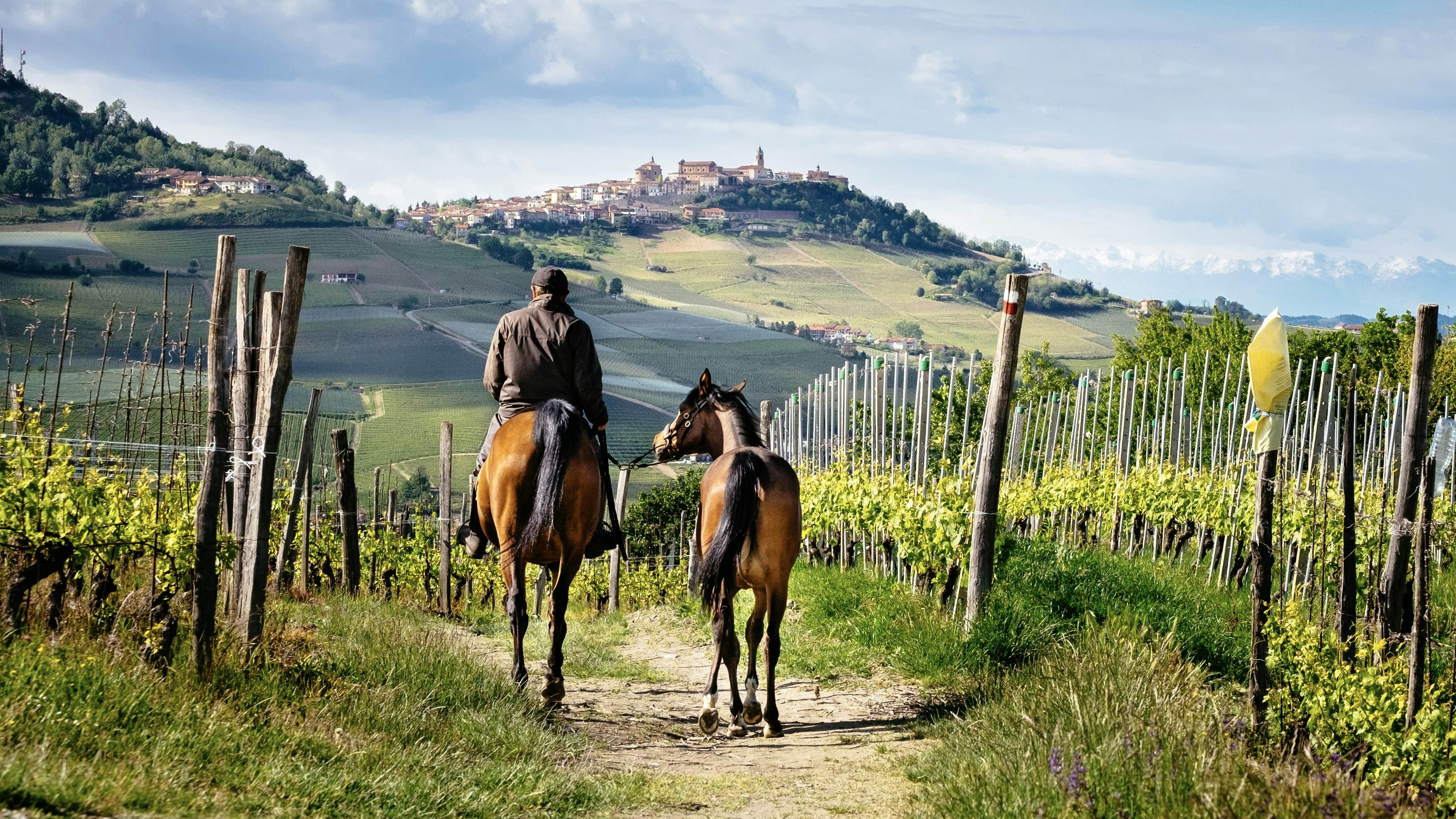 6 best day trips from Turin - Lonely Planet
