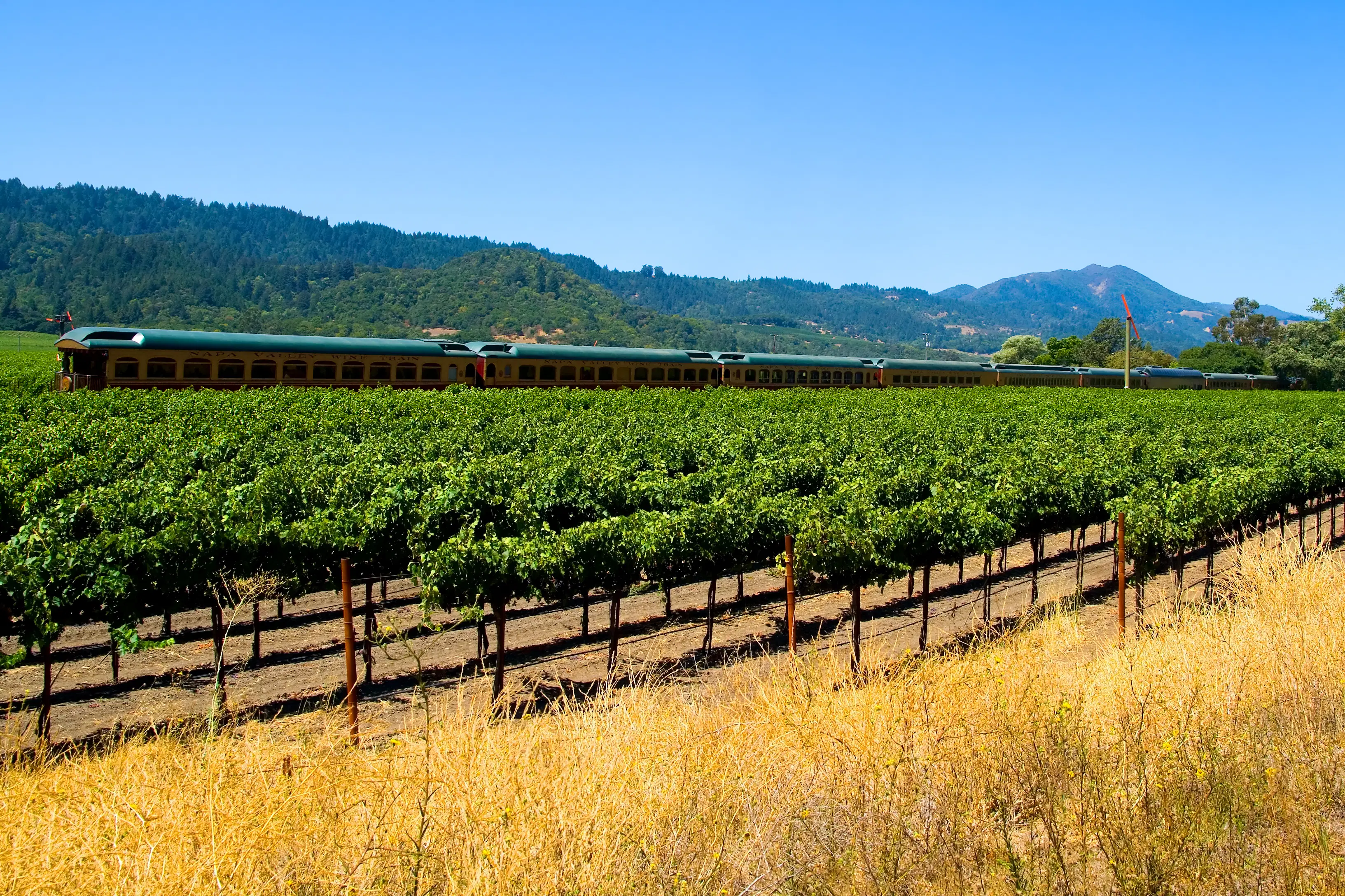 A first-time guide to Napa Valley - Lonely Planet