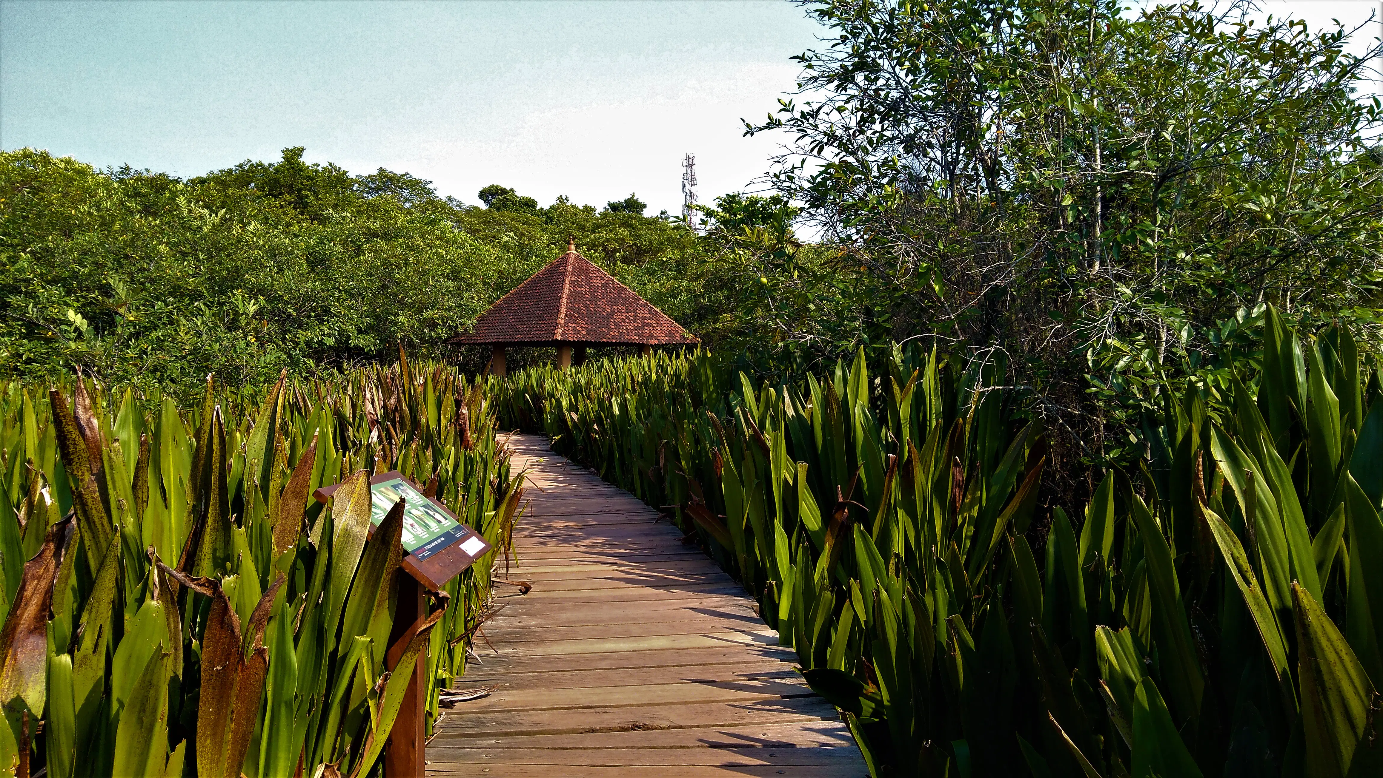 A first-time guide to Colombo, Sri Lanka - Lonely Planet