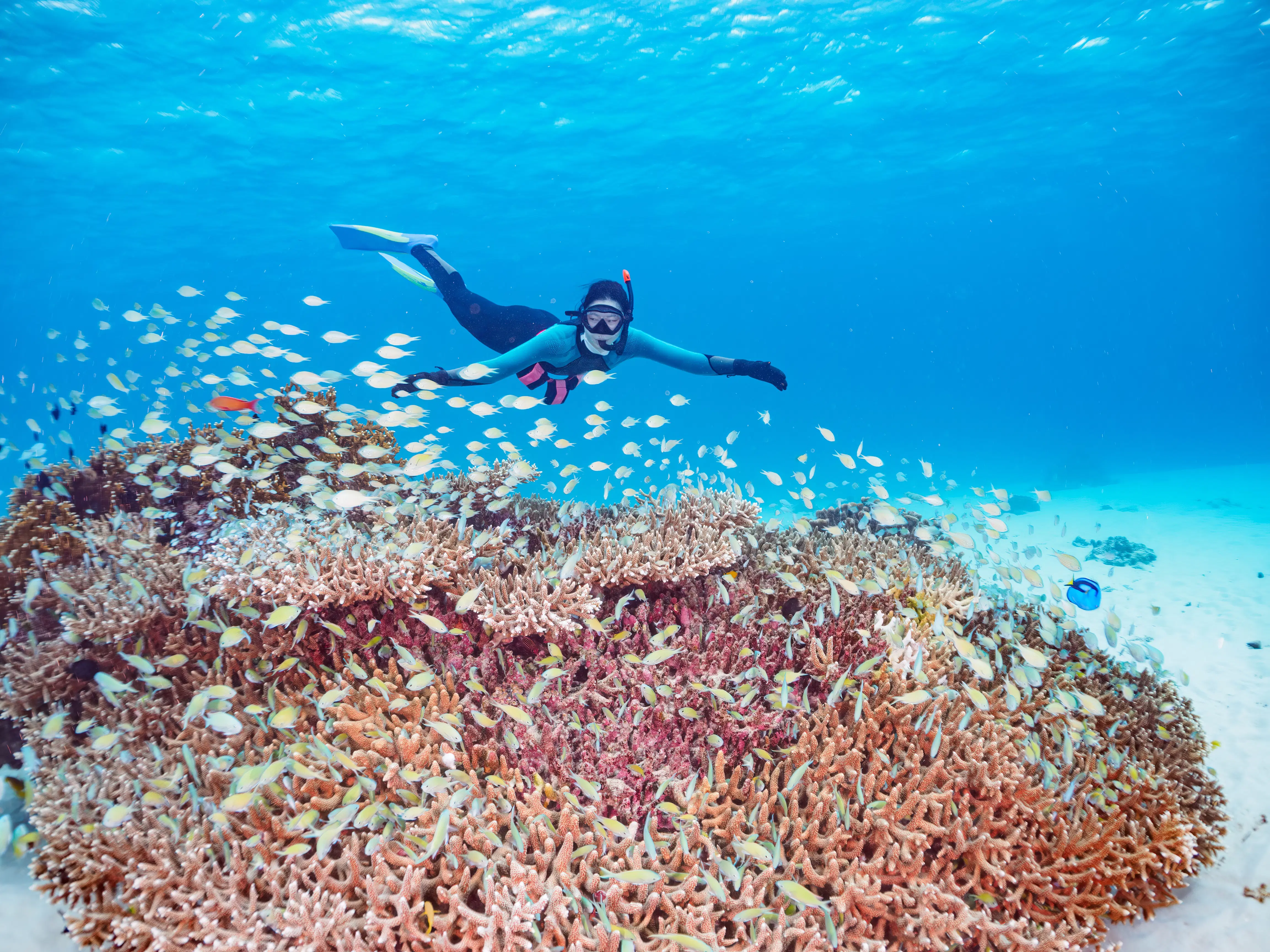 The top 10 beaches in Japan for sand and surf - Lonely Planet