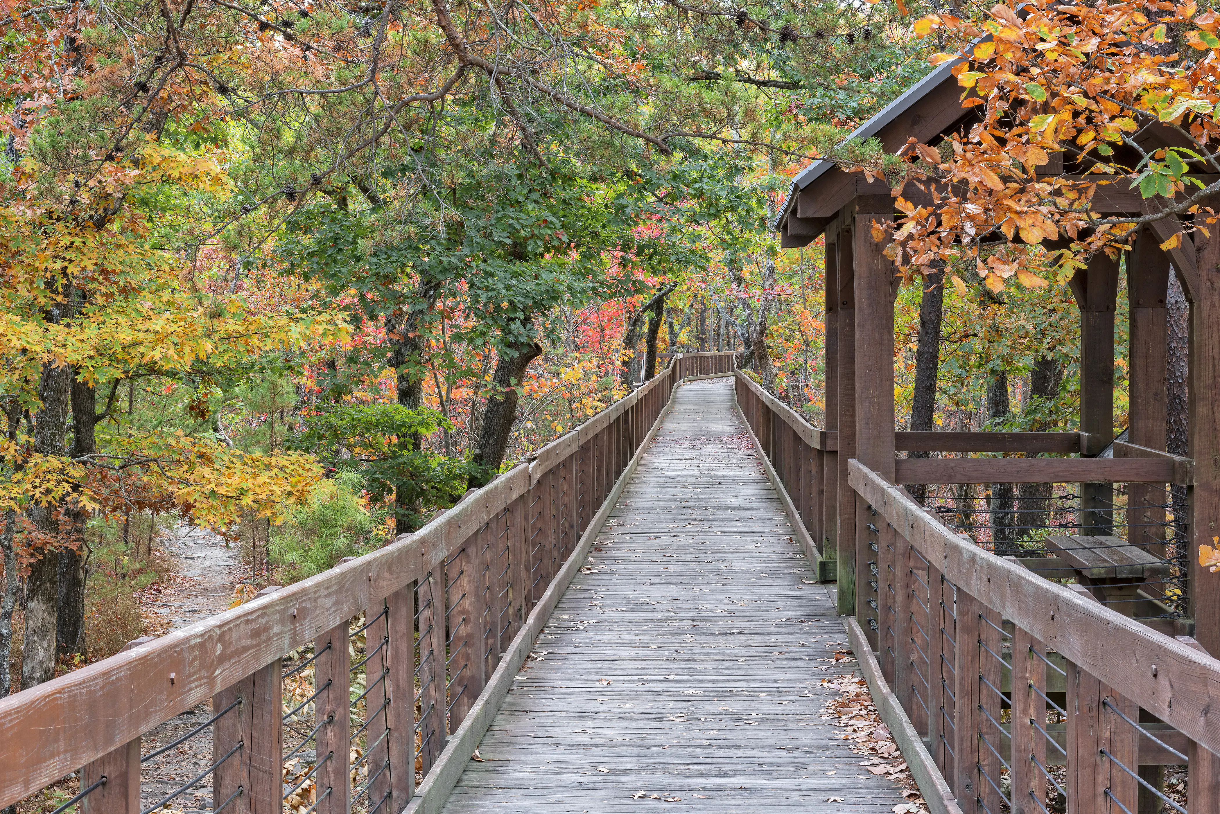 The 12 best places to visit in Alabama - Lonely Planet