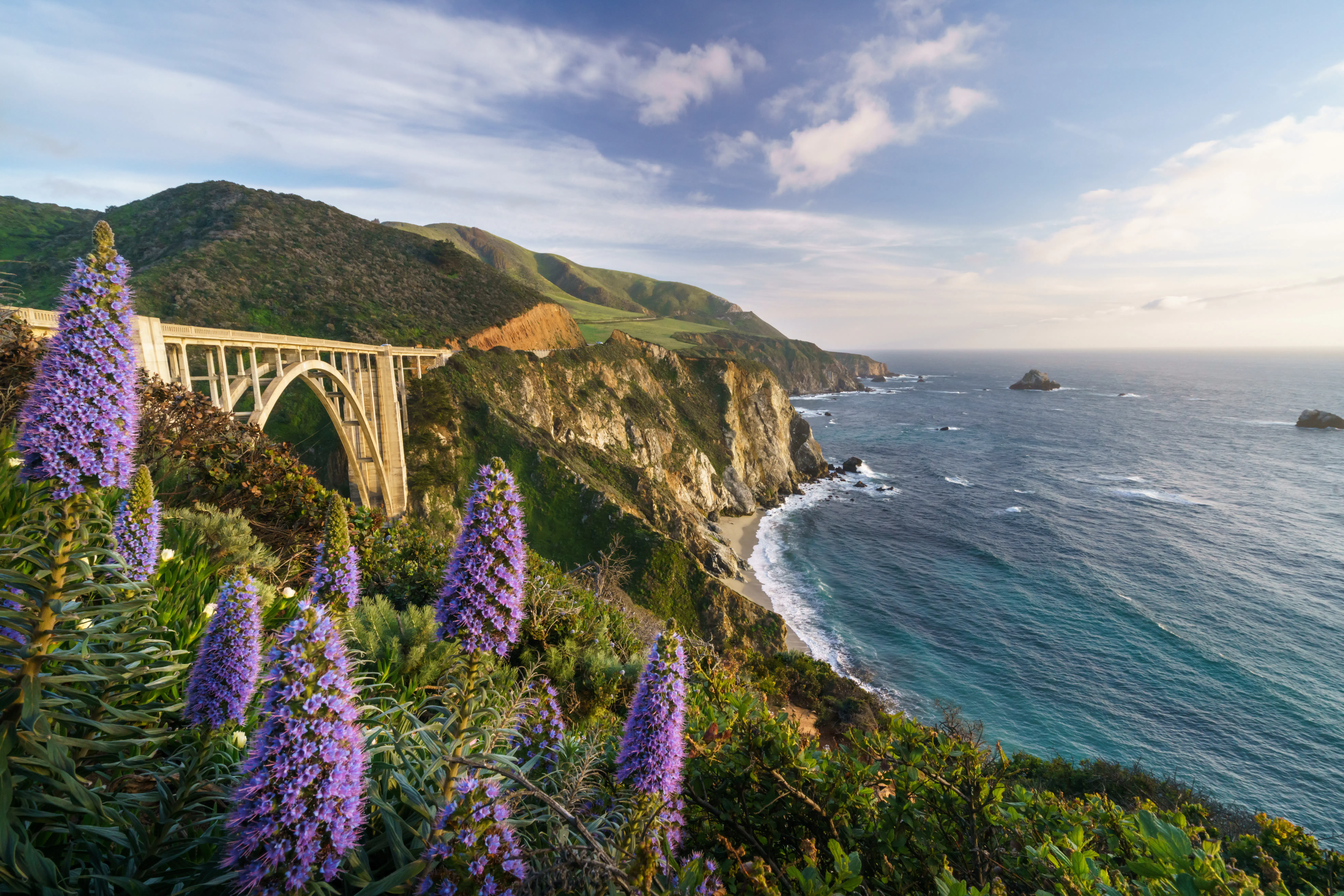 The best time to visit California - Lonely Planet