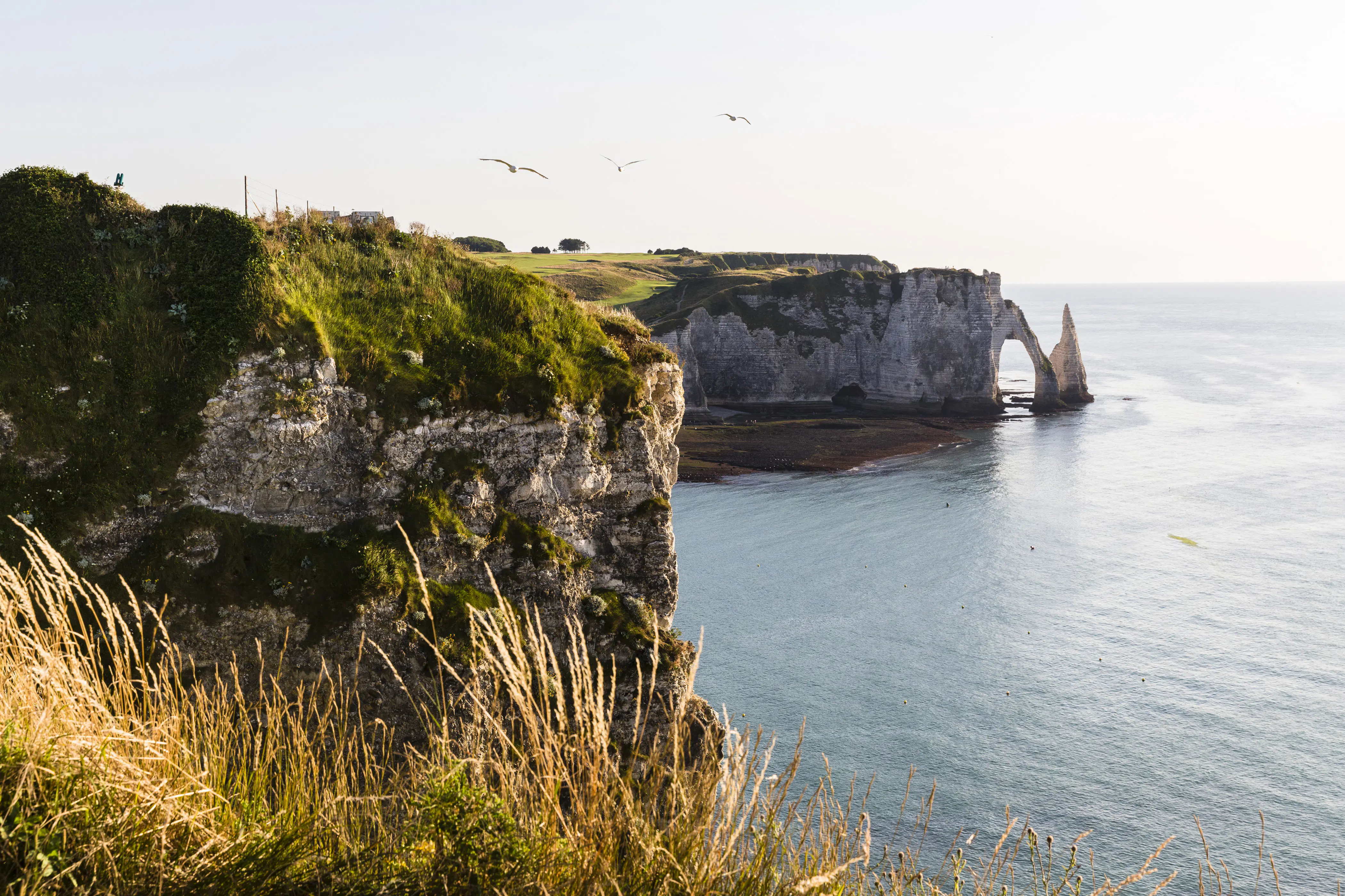 The 14 best things to do in Normandy, France - Lonely Planet