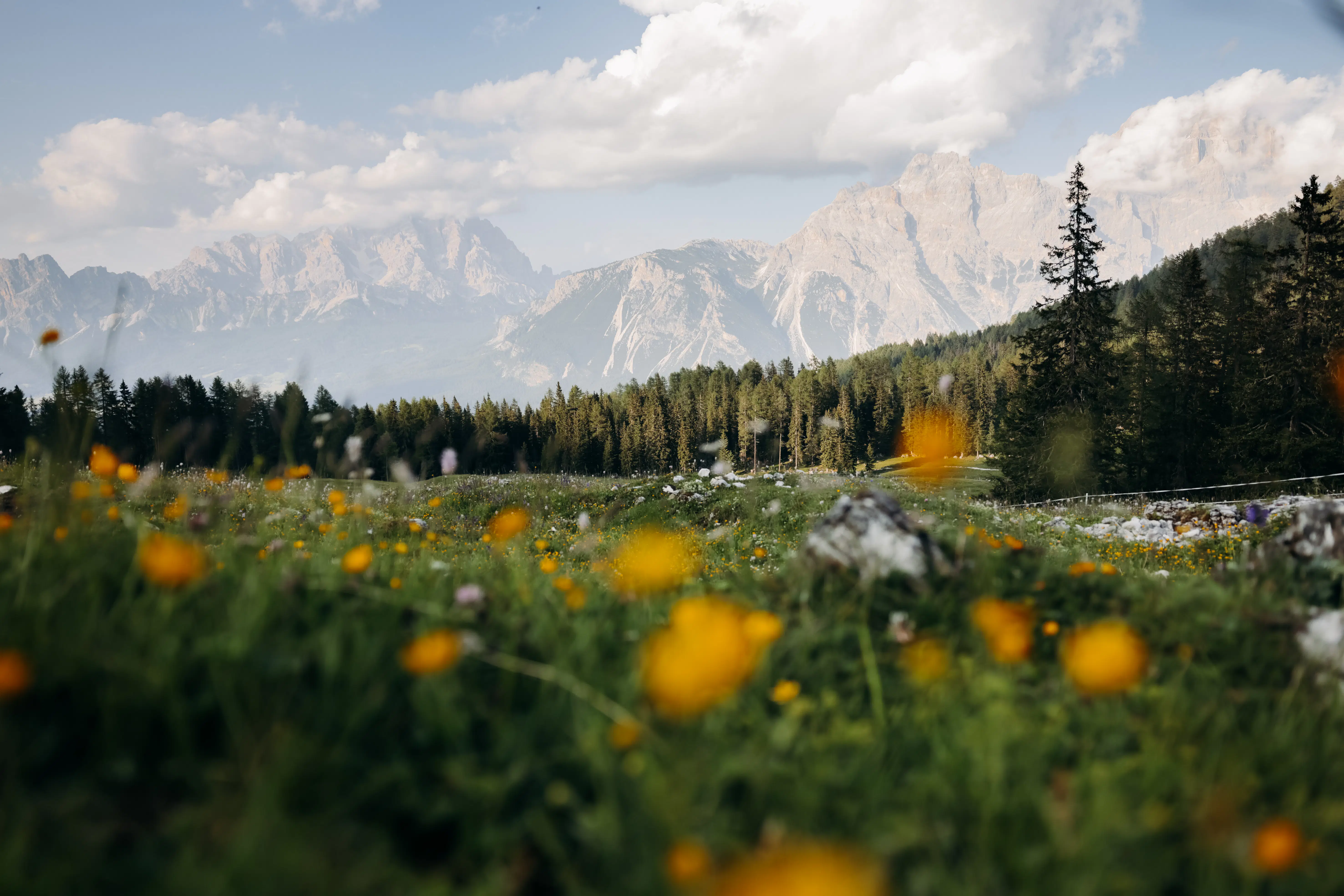 Best places to visit in Italy in spring - Lonely Planet
