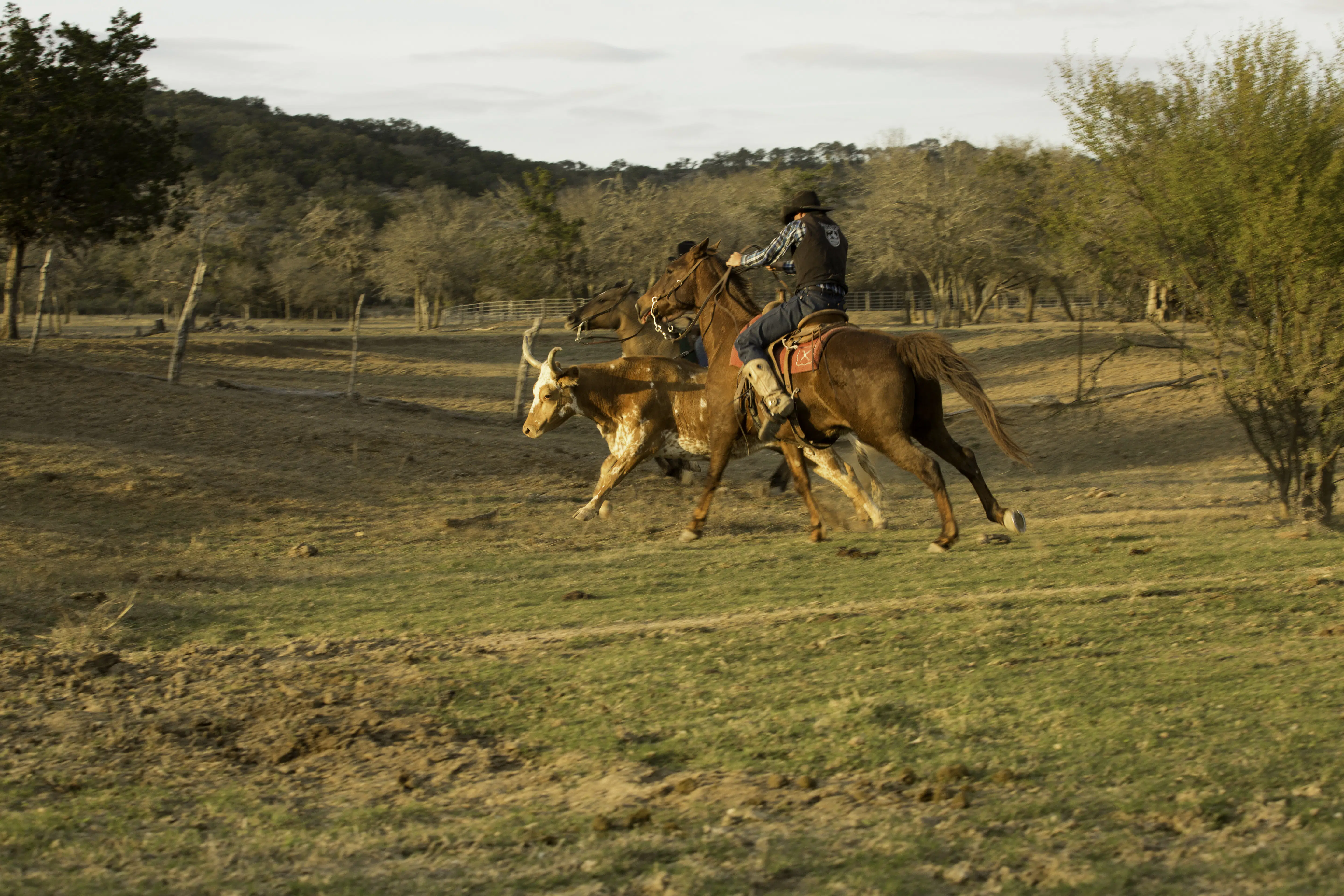 Top 12 cowboy core towns in the US - Lonely Planet