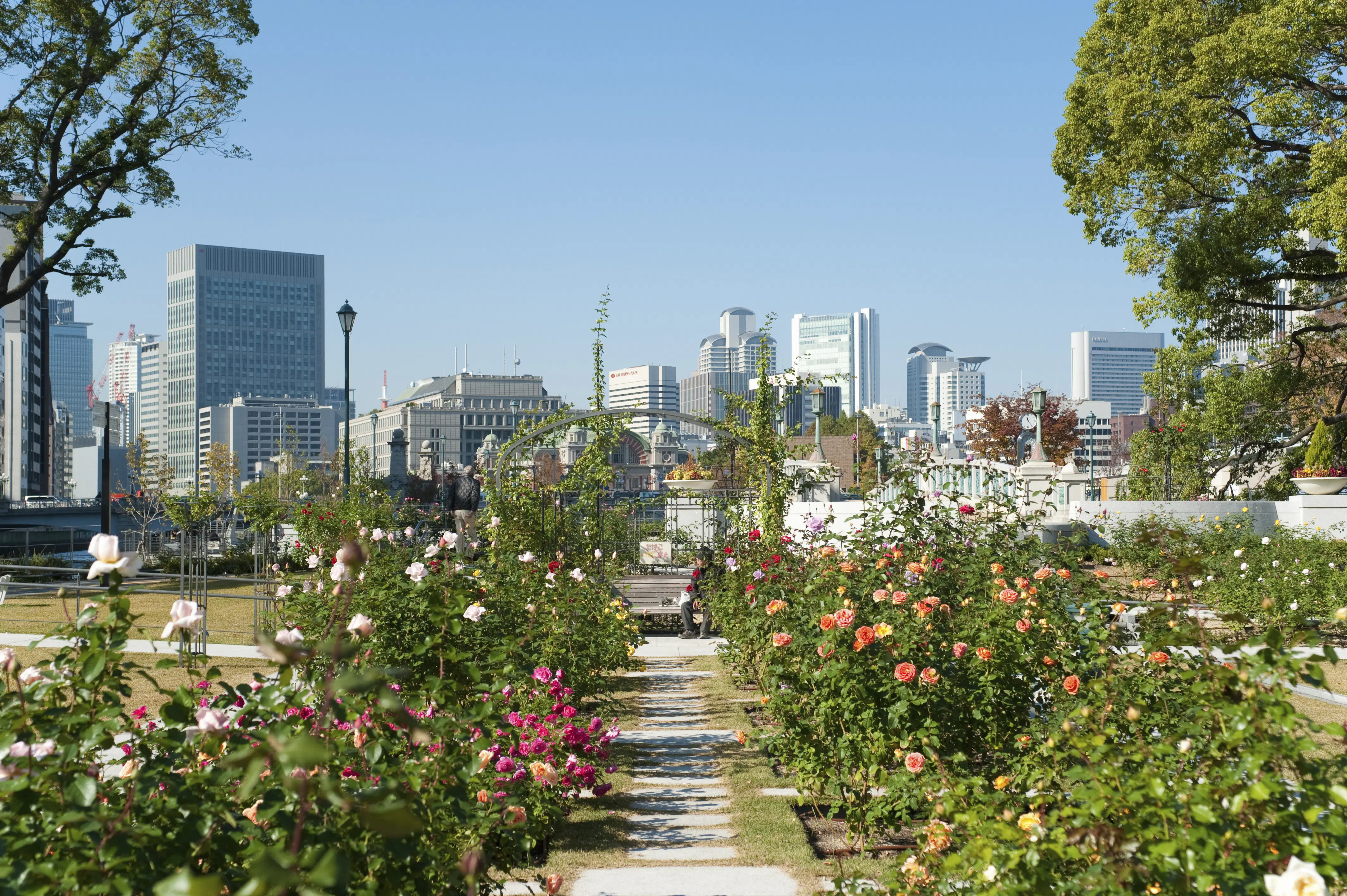 8 of the best small islands to visit in Japan - Lonely Planet