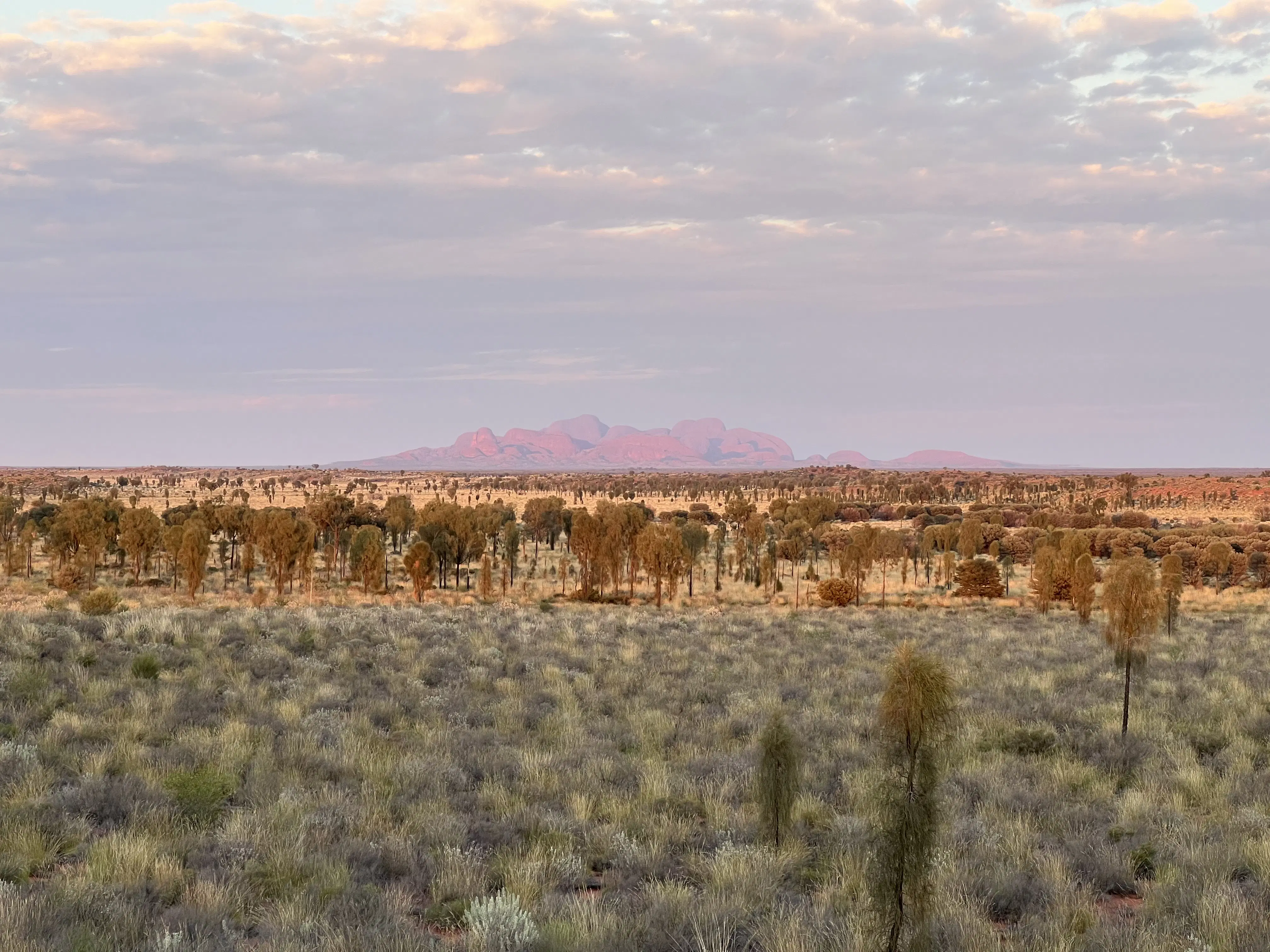 Top things to do in Perth - Lonely Planet