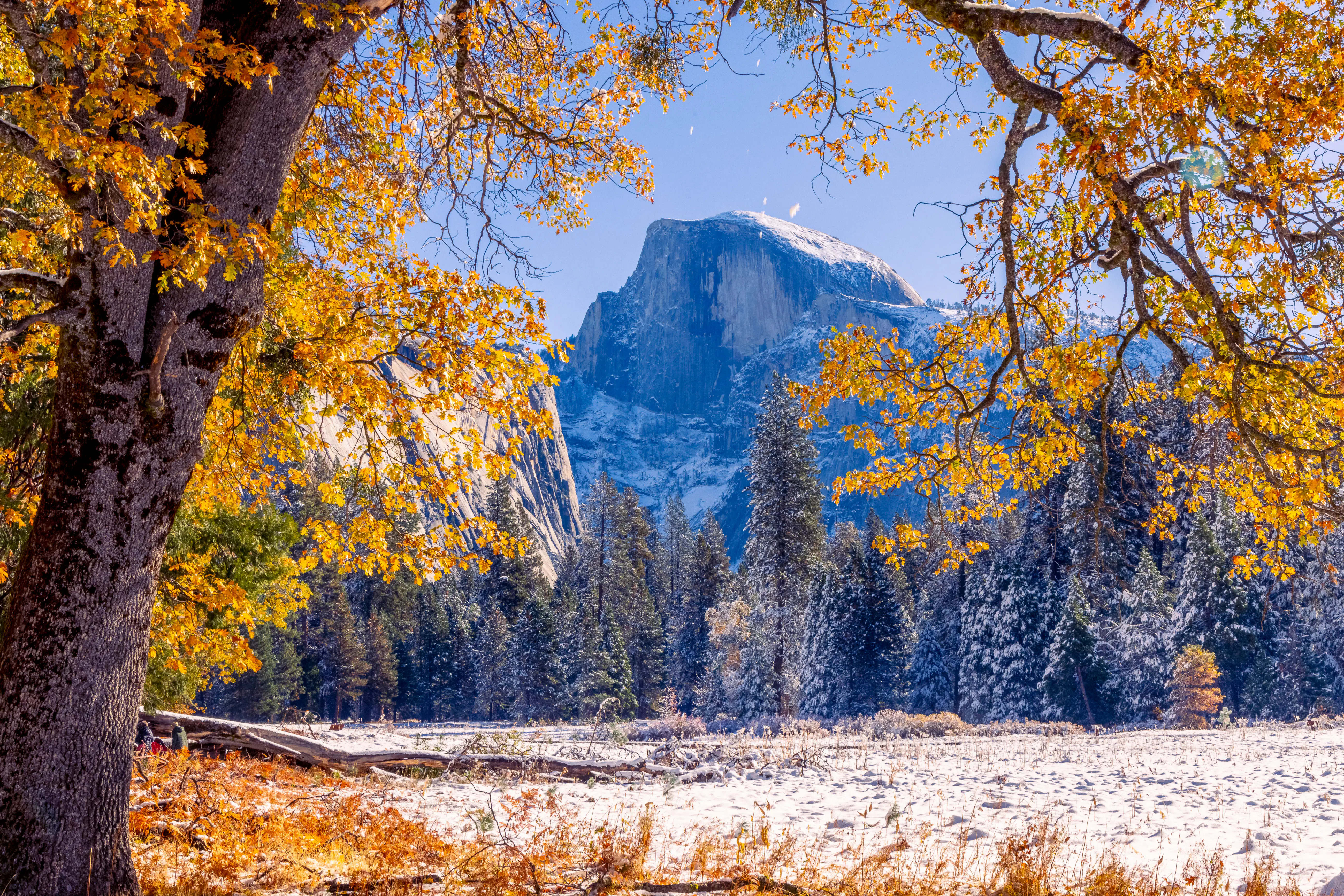 The best US national parks to visit in the fall - Lonely Planet