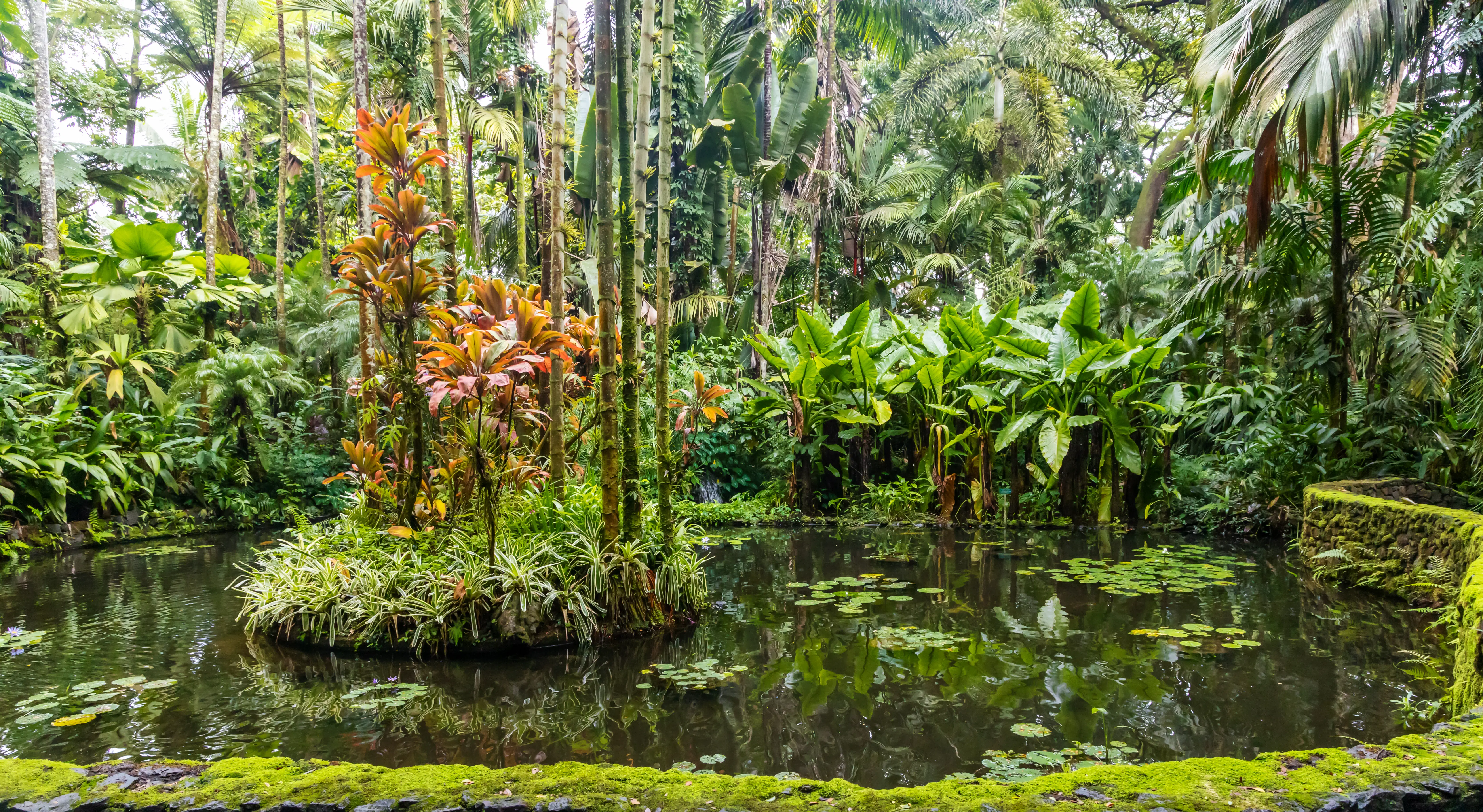 15 things to know before visiting Samoa - Lonely Planet