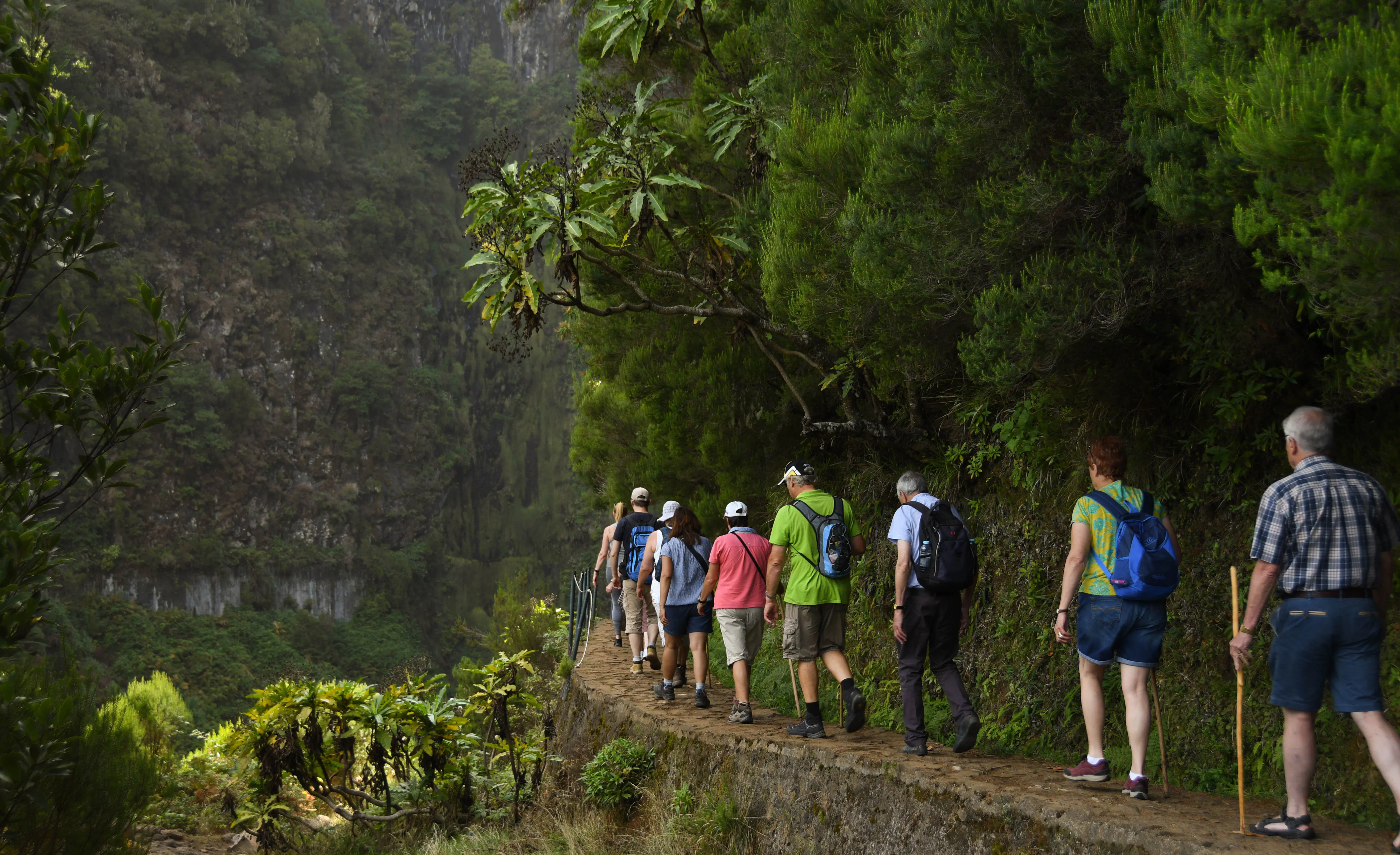 Guide to Madeira - Lonely Planet