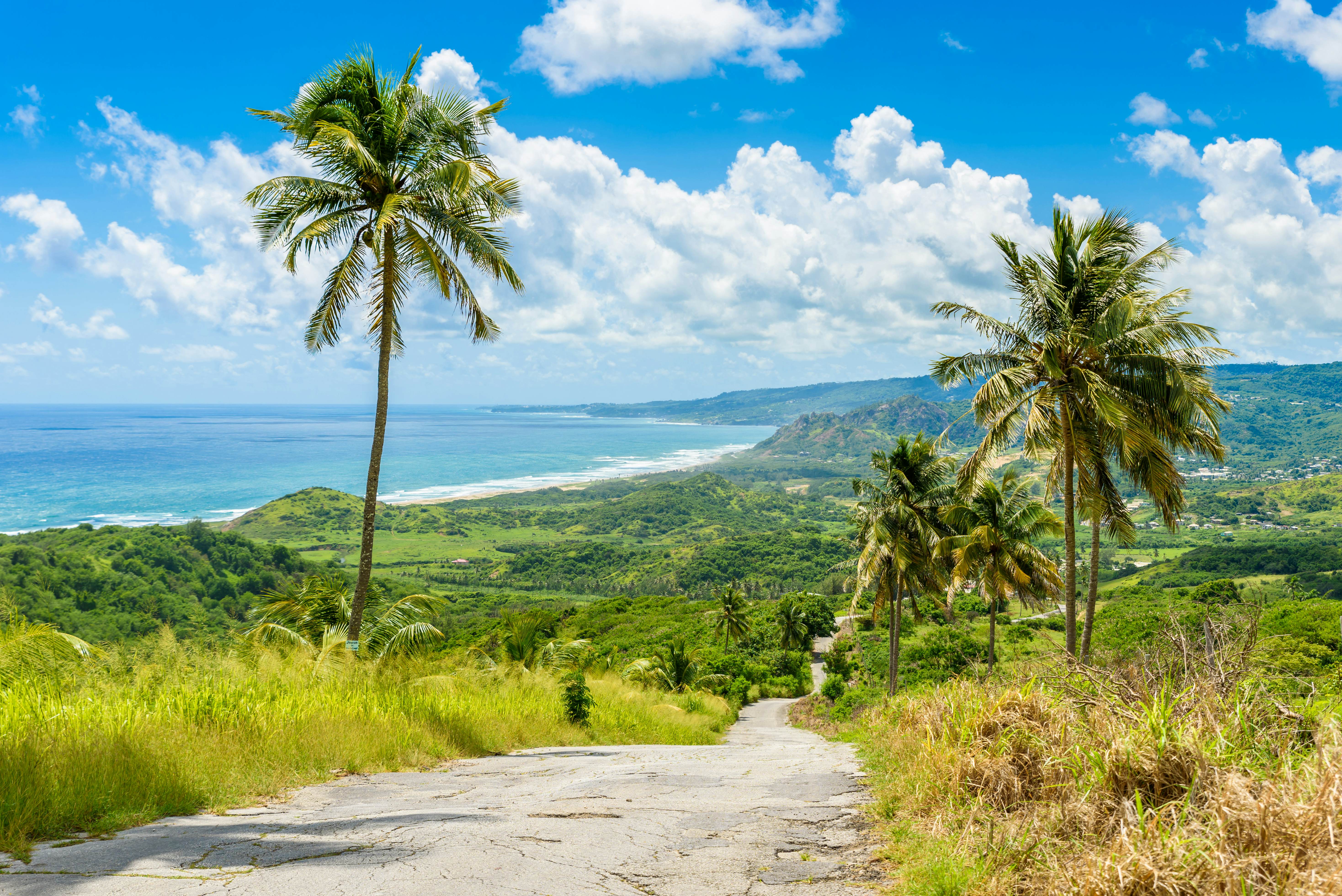 The 11 best things to do in Barbados - Lonely Planet