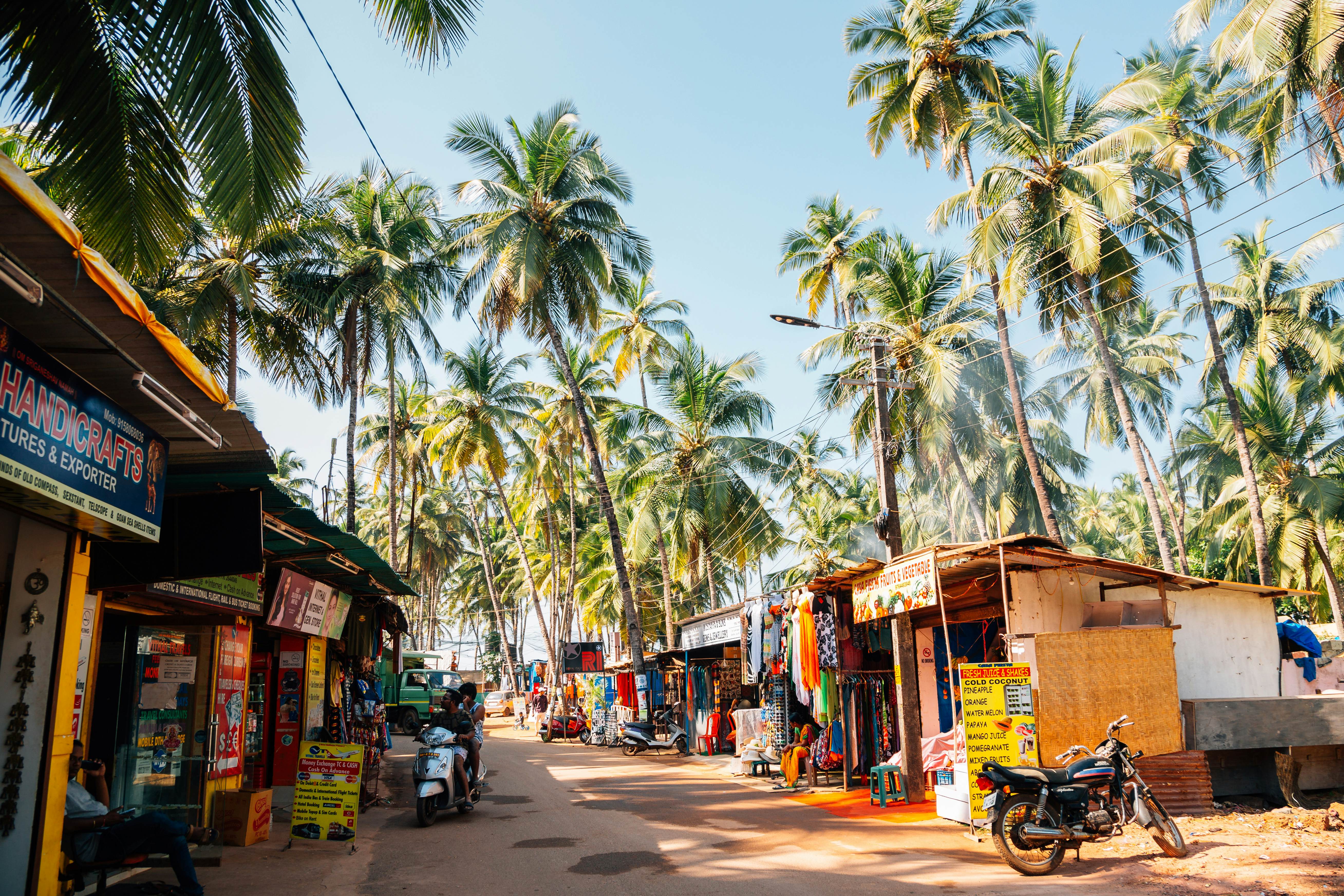 12 of the best things to do in Goa, India - Lonely Planet