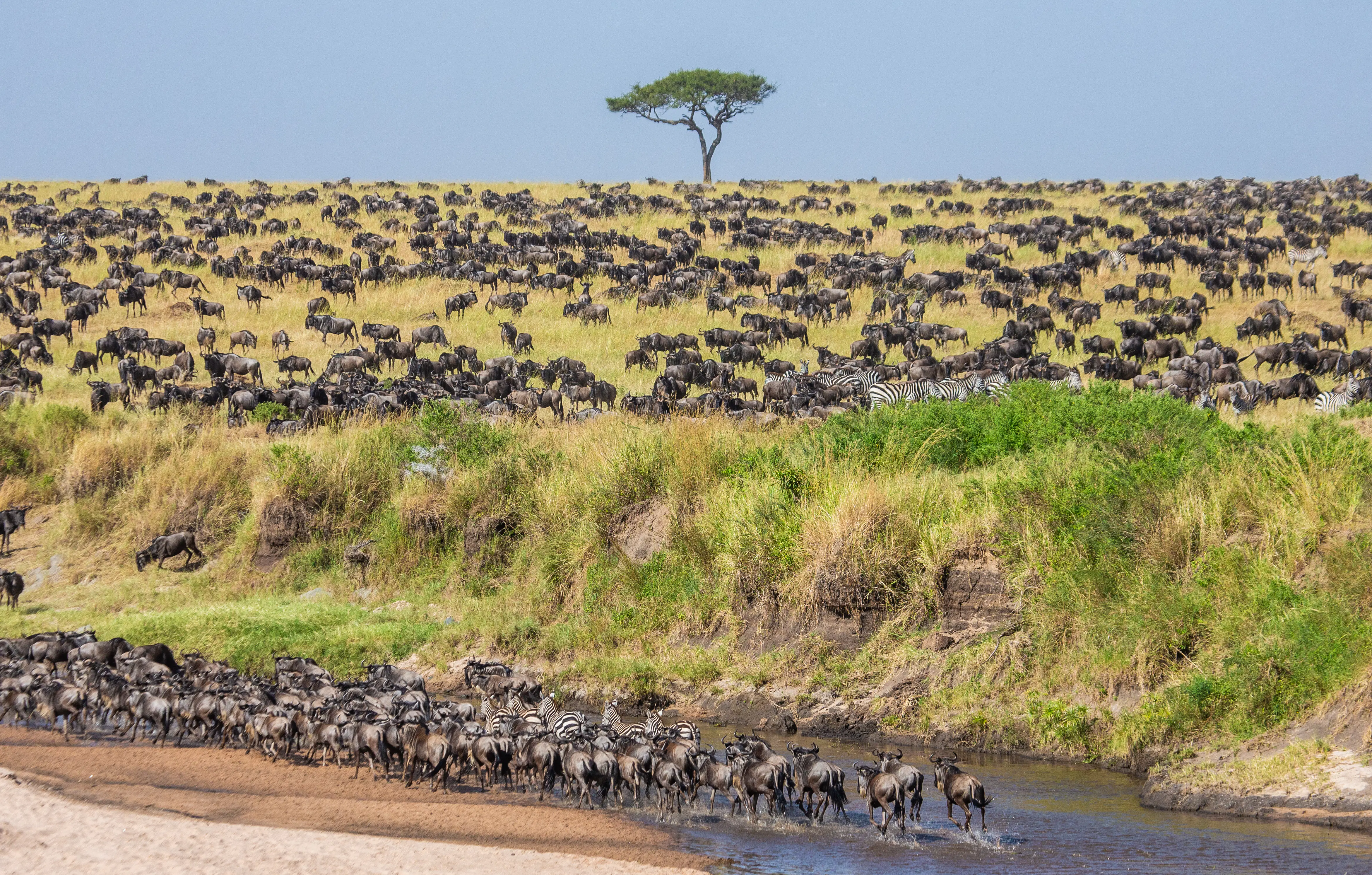 Kenya's 10 best natural wonders - Lonely Planet