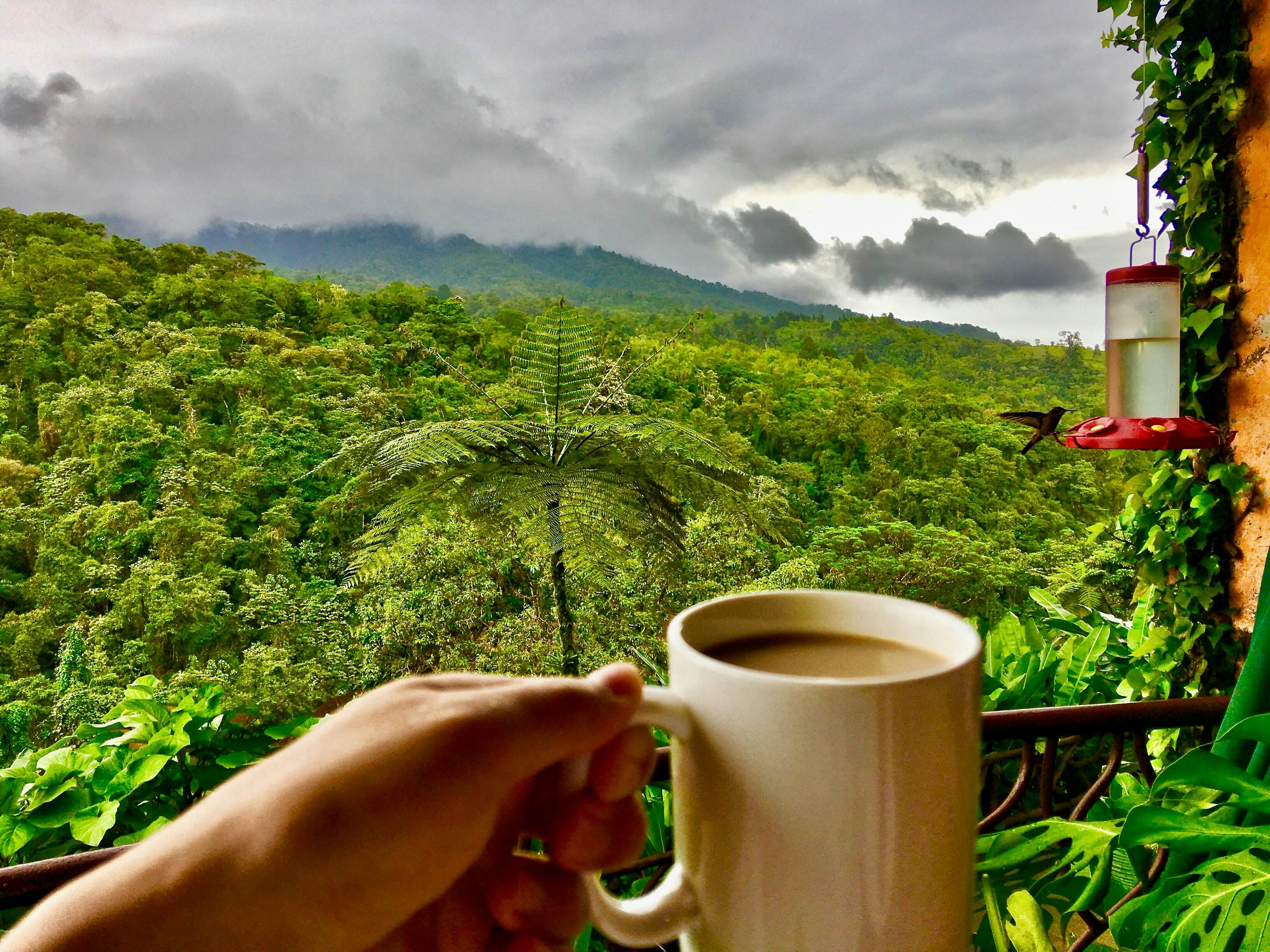 8 of the best wildlife experiences in Costa Rica - Lonely Planet