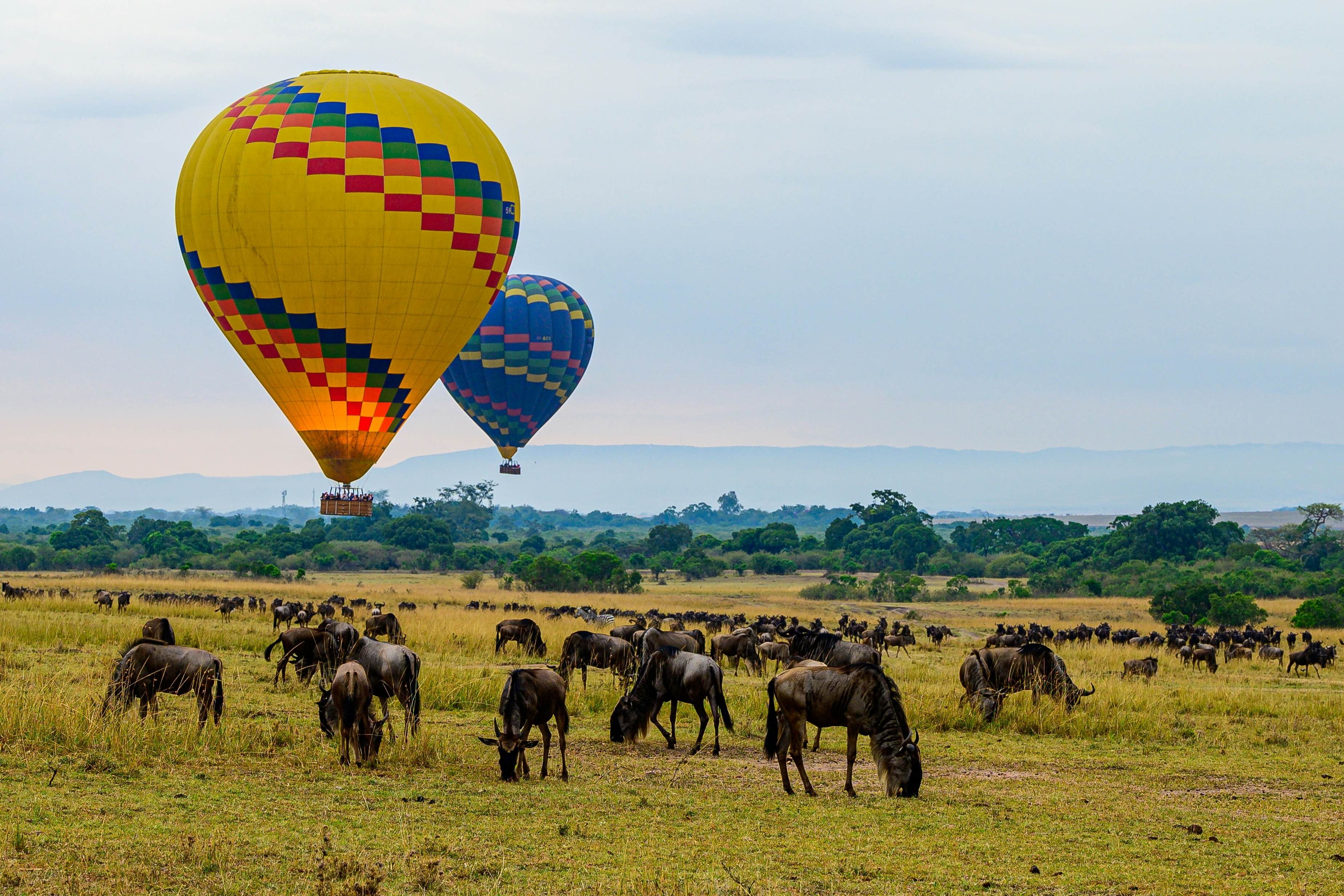 The best places to visit in Kenya - Lonely Planet