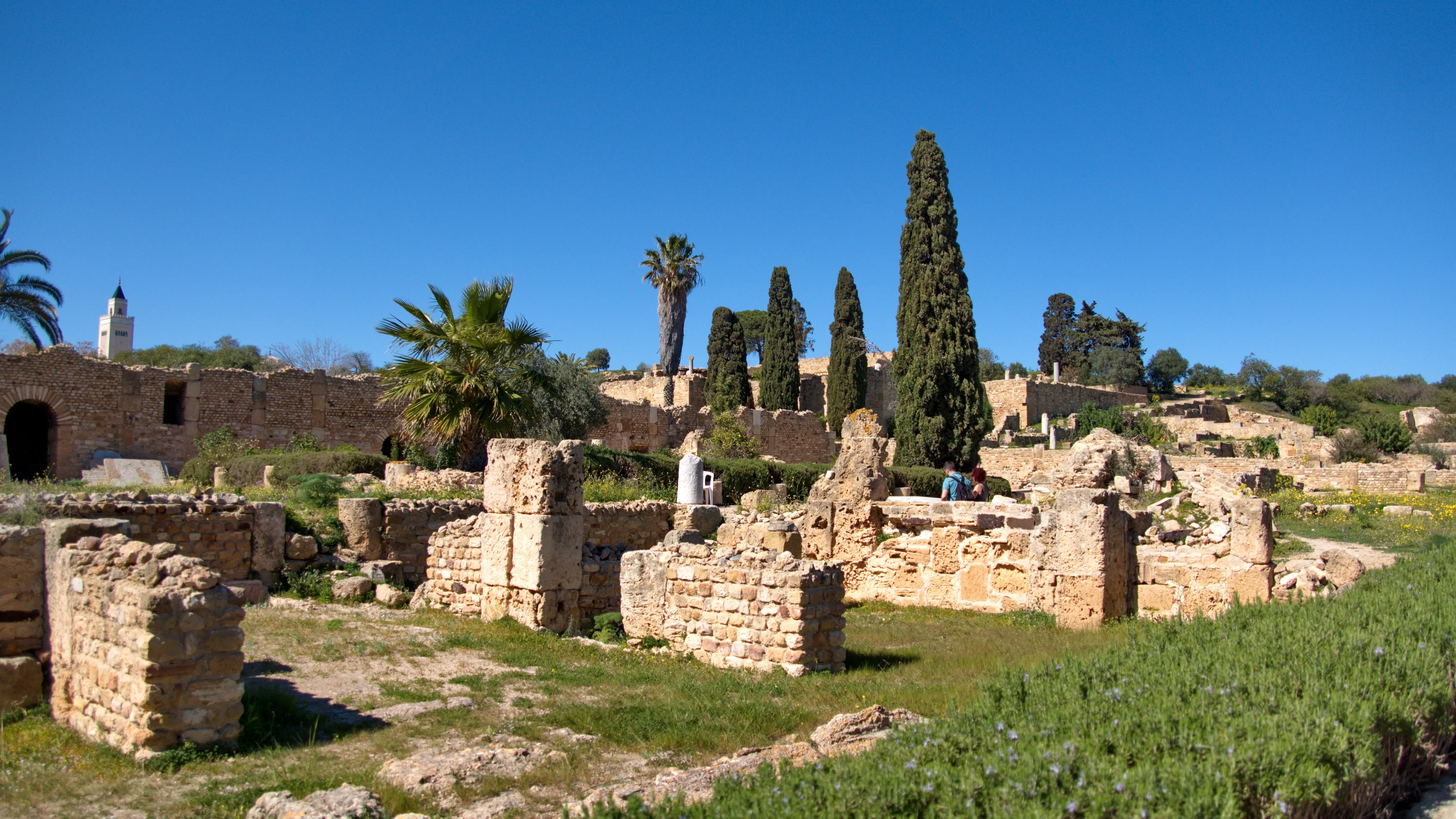 14 top things to do in Tunisia - Lonely Planet