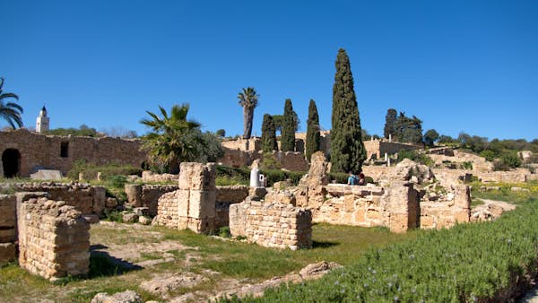 The 5 best things to do in Tunis in spring - Lonely Planet