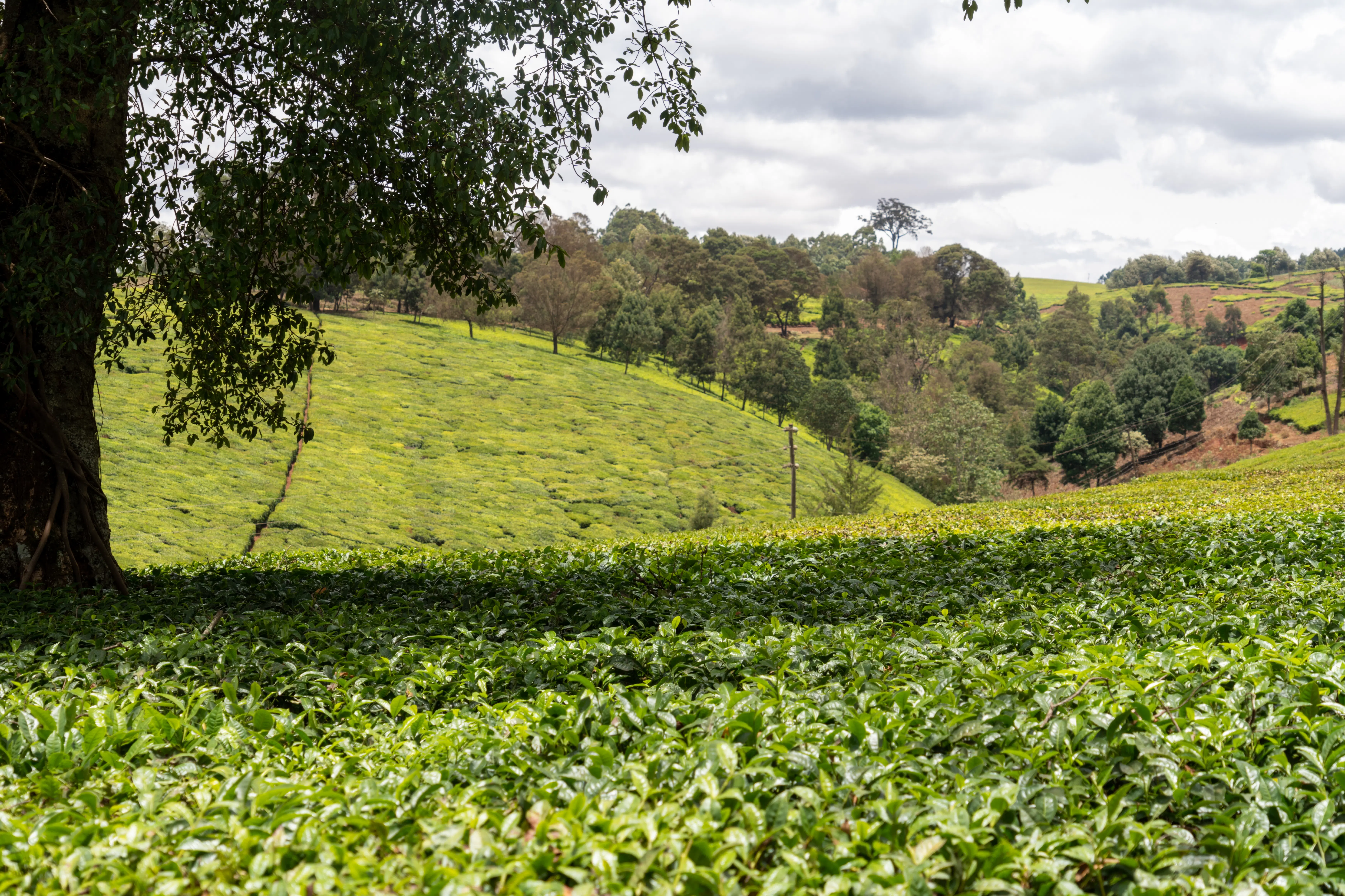 The 11 best things to do in Nairobi - Lonely Planet