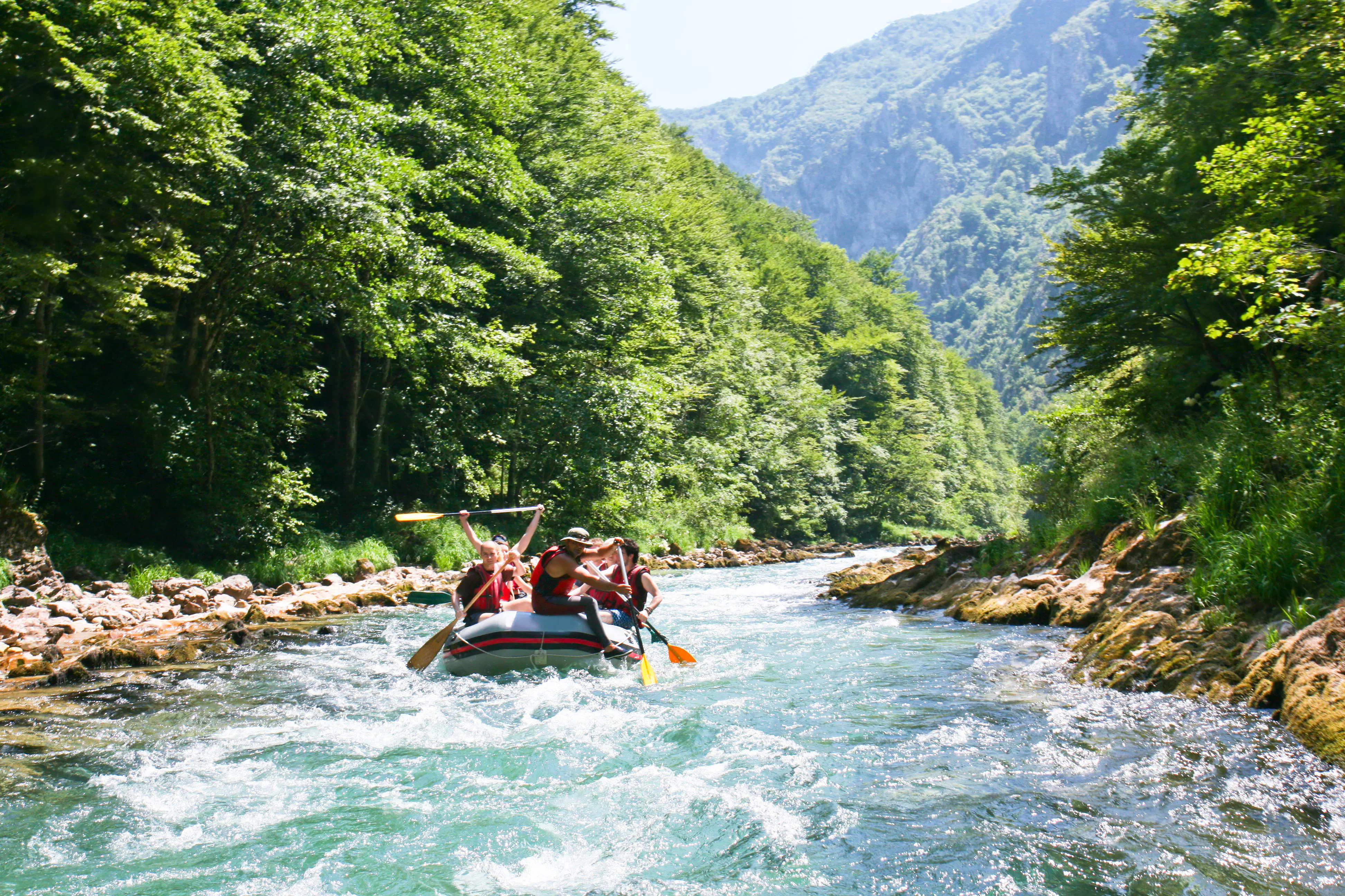 A guide to kafane in Belgrade, Serbia - Lonely Planet