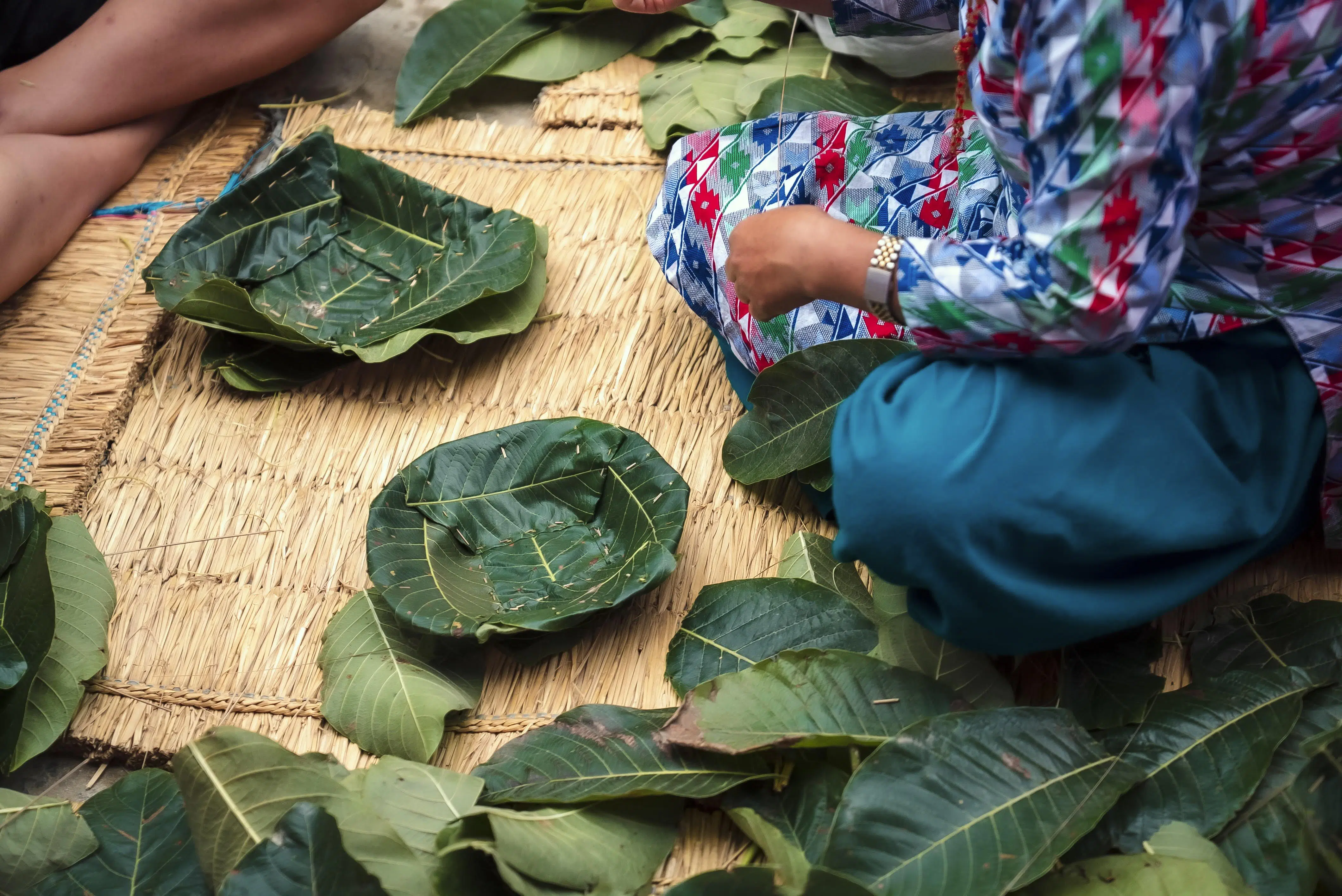 A guide to Nepal's homestay network - Lonely Planet