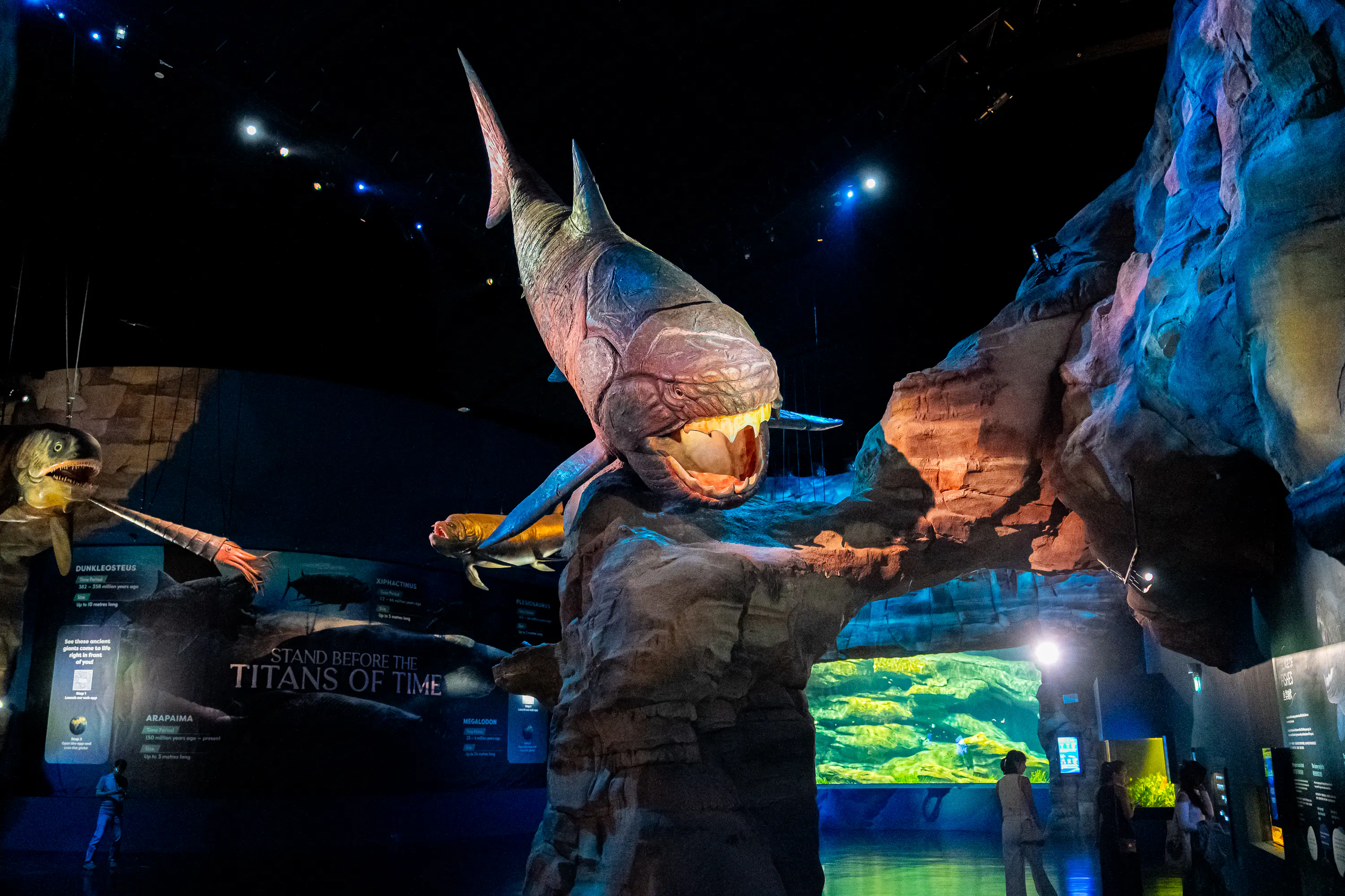 Beneath the Surface: Exploring Singapore Oceanarium - Lonely Planet