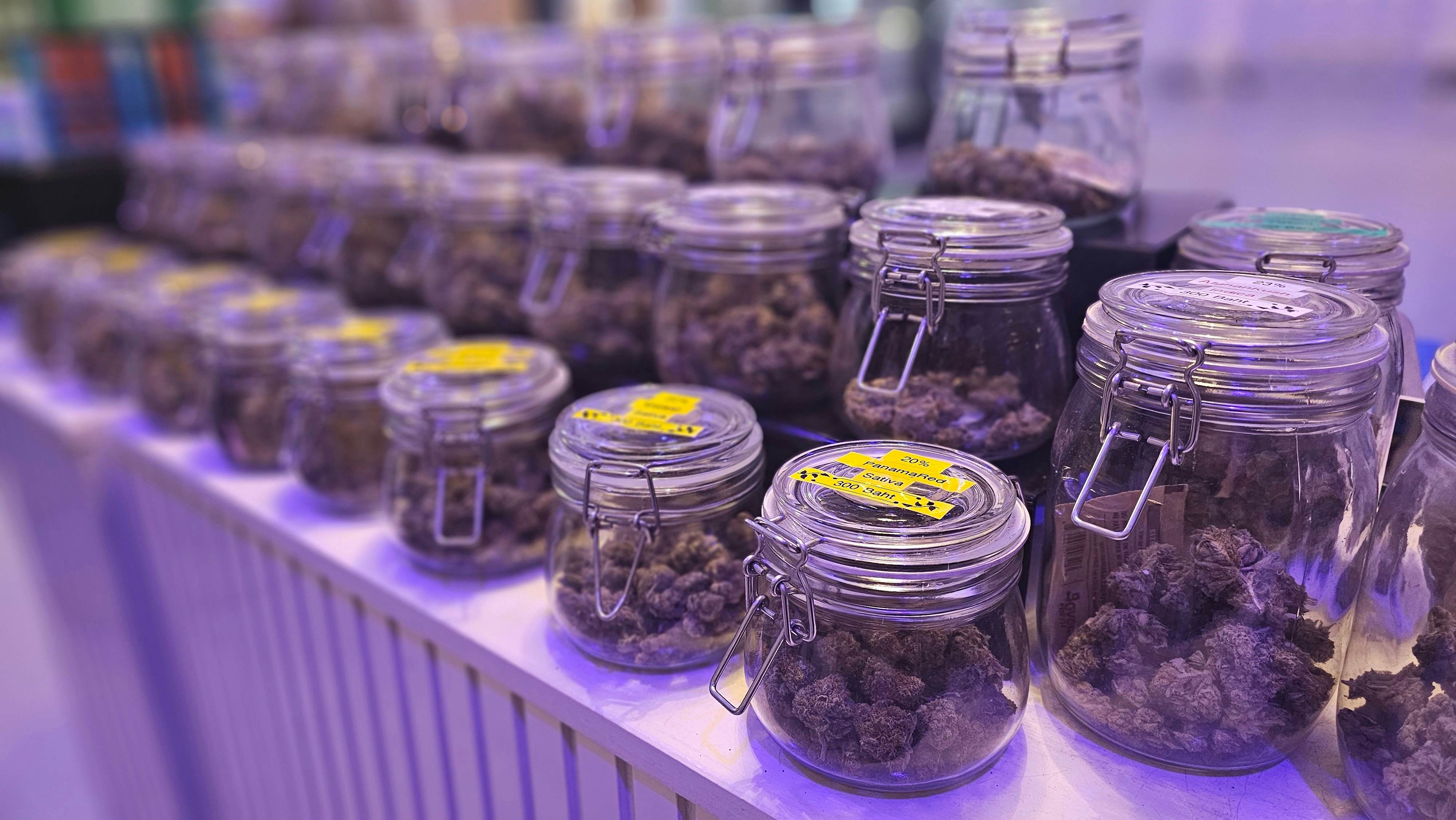 A guide to cannabis in Thailand - Lonely Planet