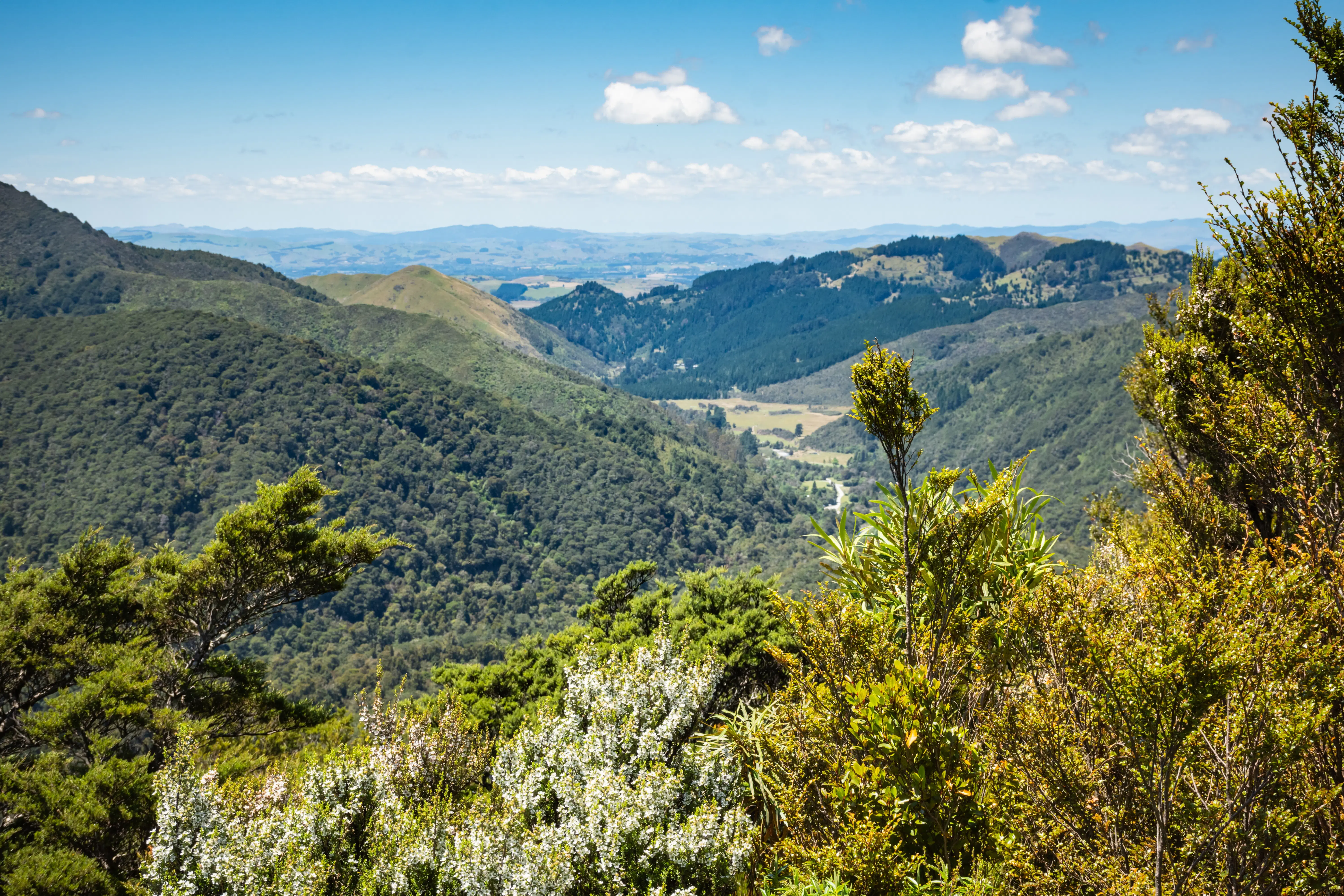 A guide to the wine region of Wairarapa, New Zealand - Lonely Planet