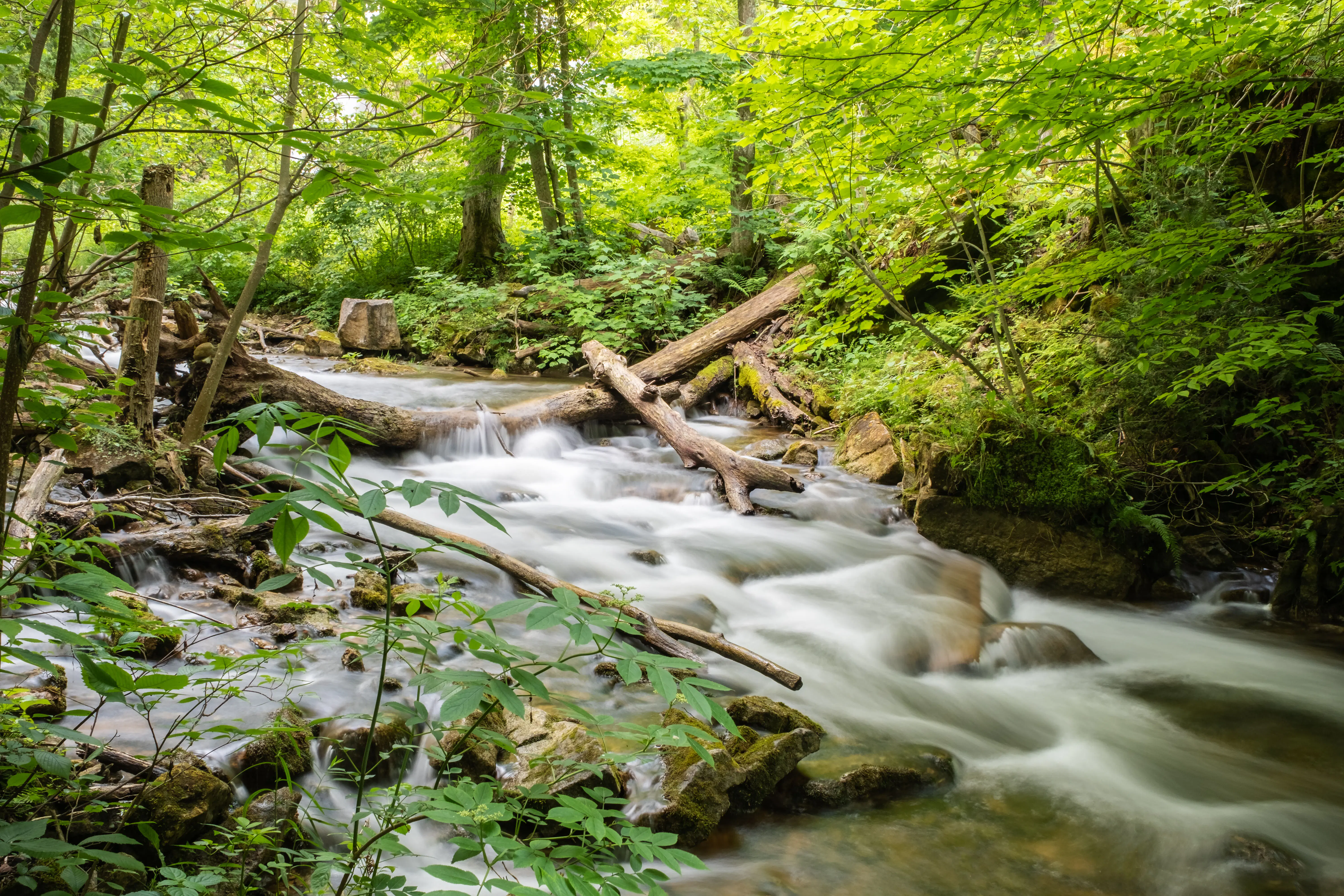 The best 16 hikes in Canada - Lonely Planet