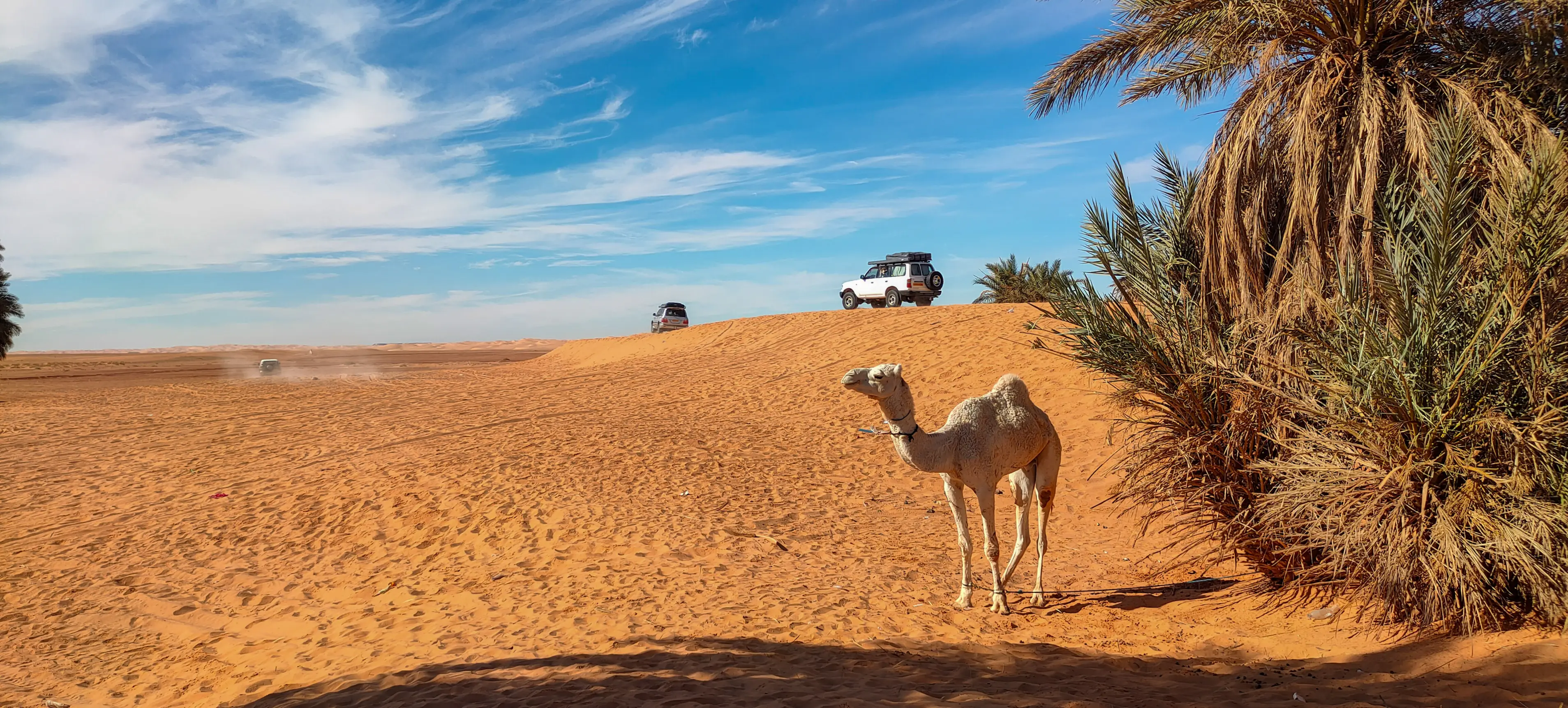 10 of the best places to visit in Algeria - Lonely Planet