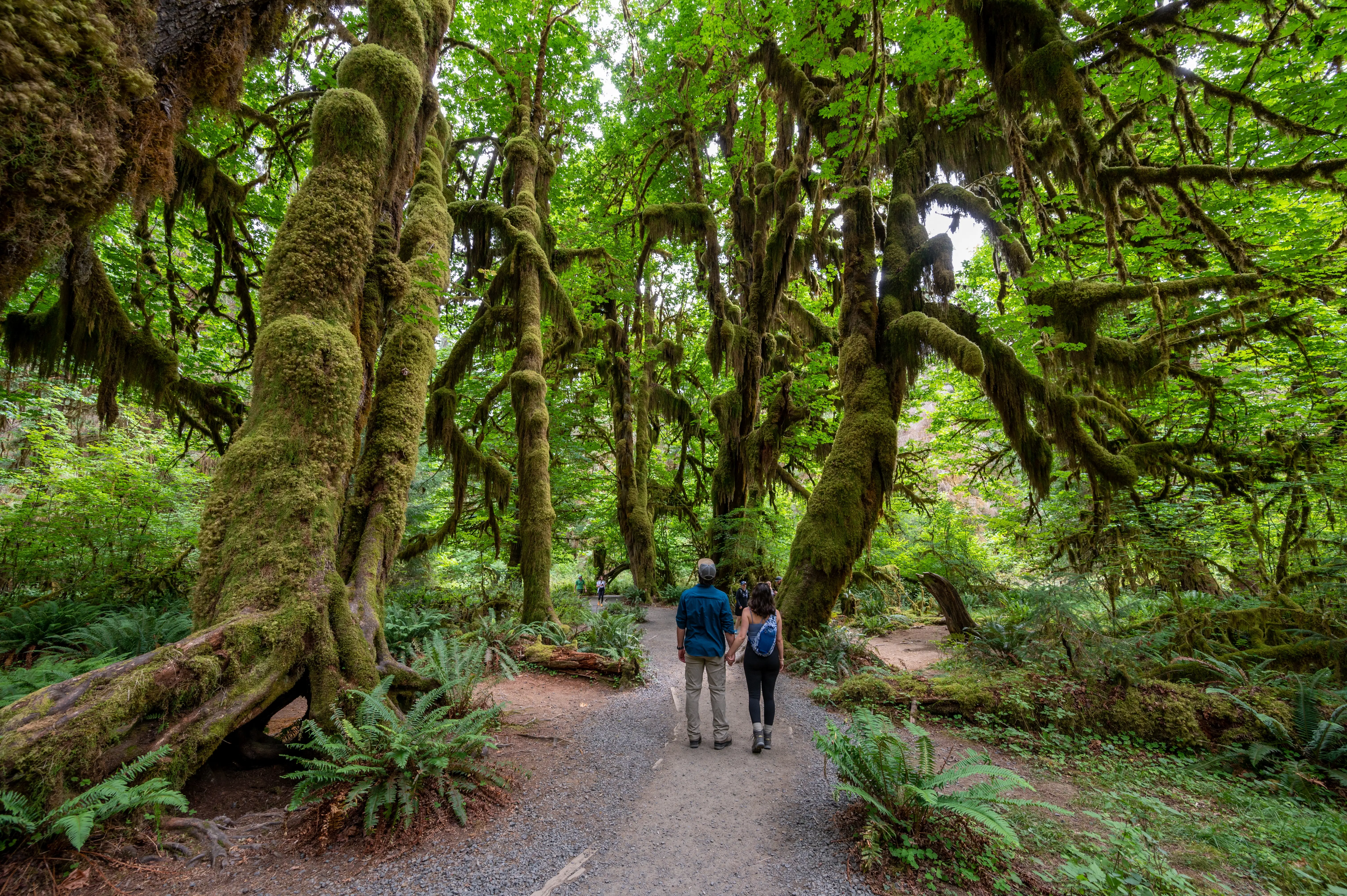 17 of the best things to do in Washington state - Lonely Planet