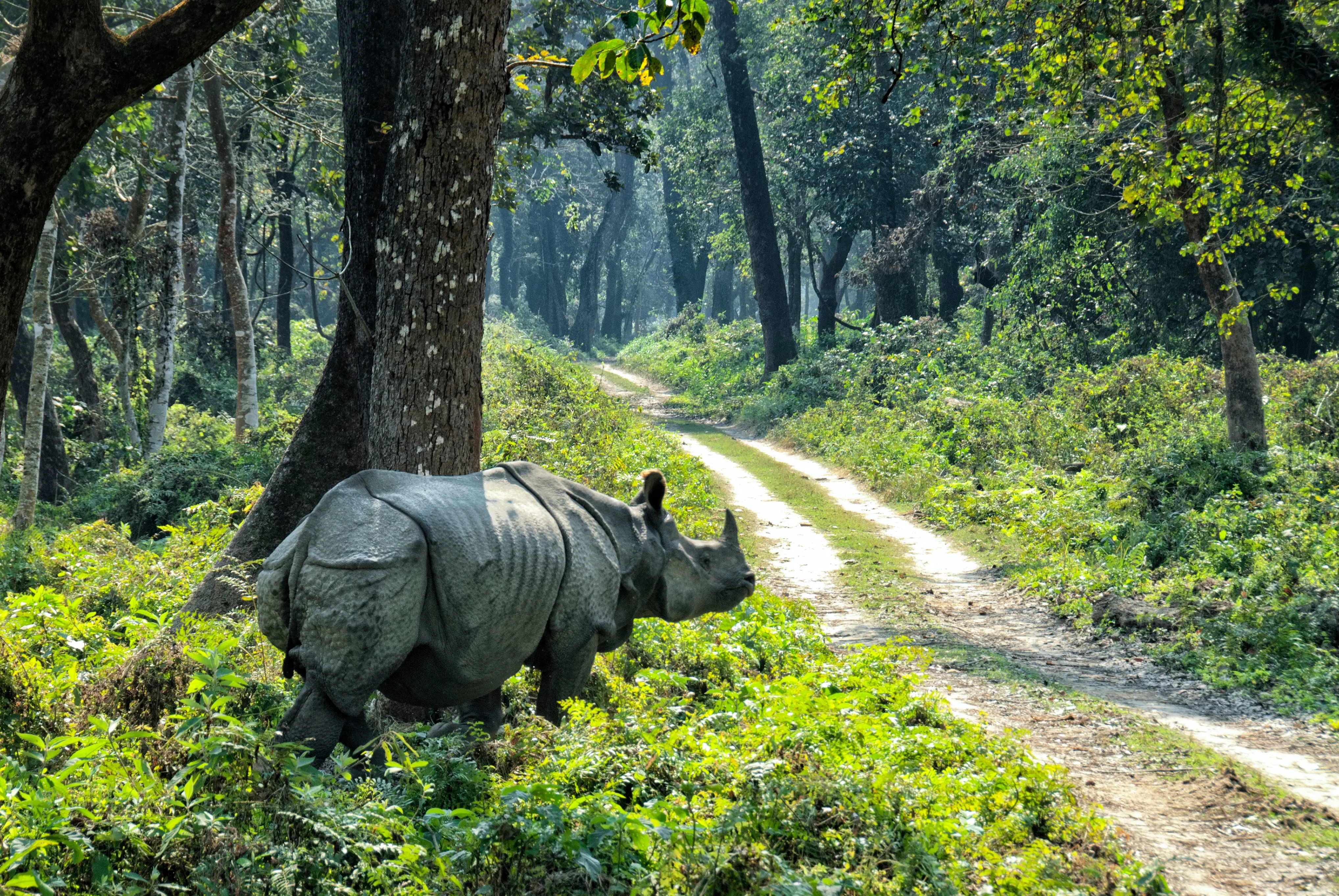 The 8 best national parks in Nepal - Lonely Planet