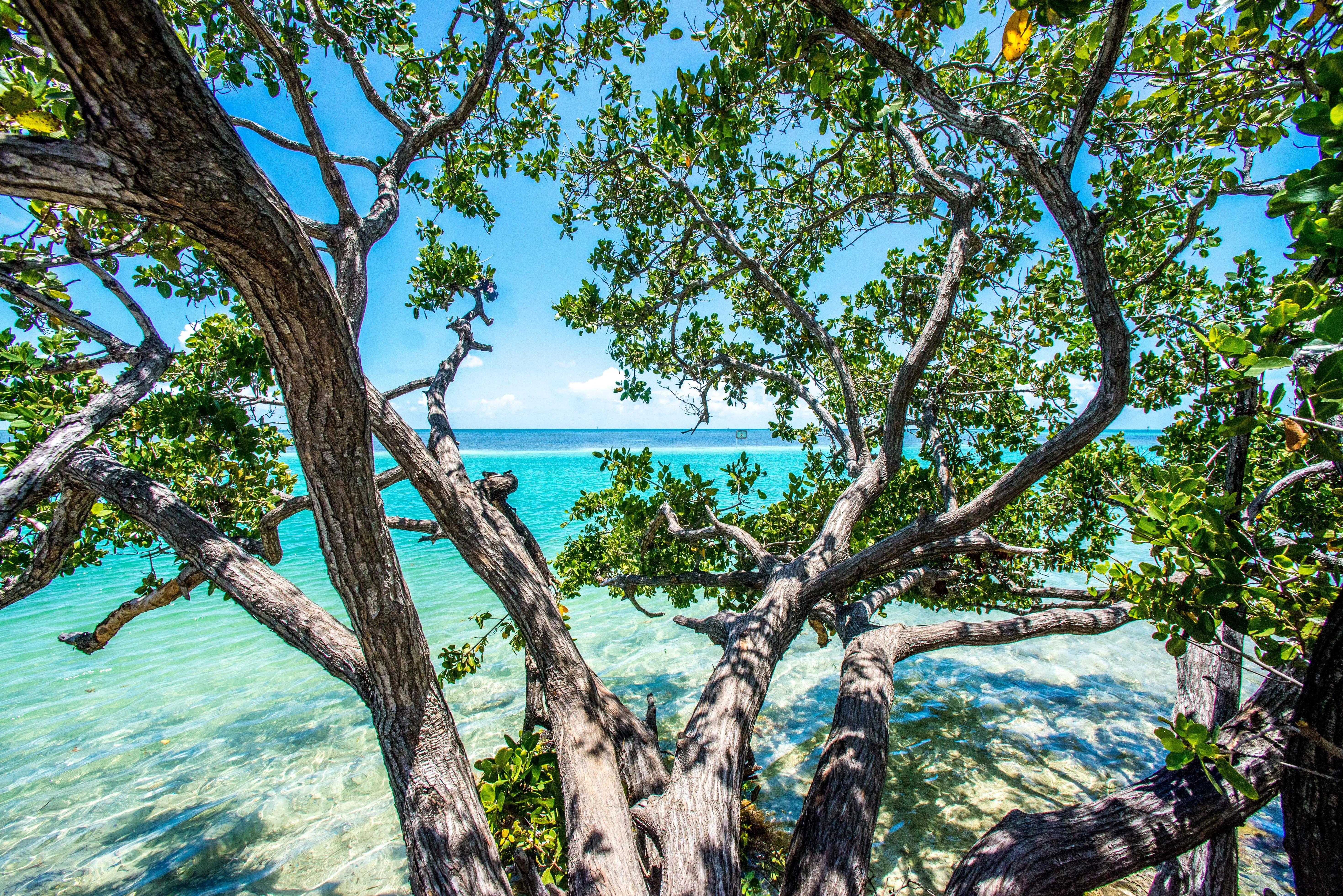 The 6 best things to do in Islamorada in the Florida Keys - Lonely Planet