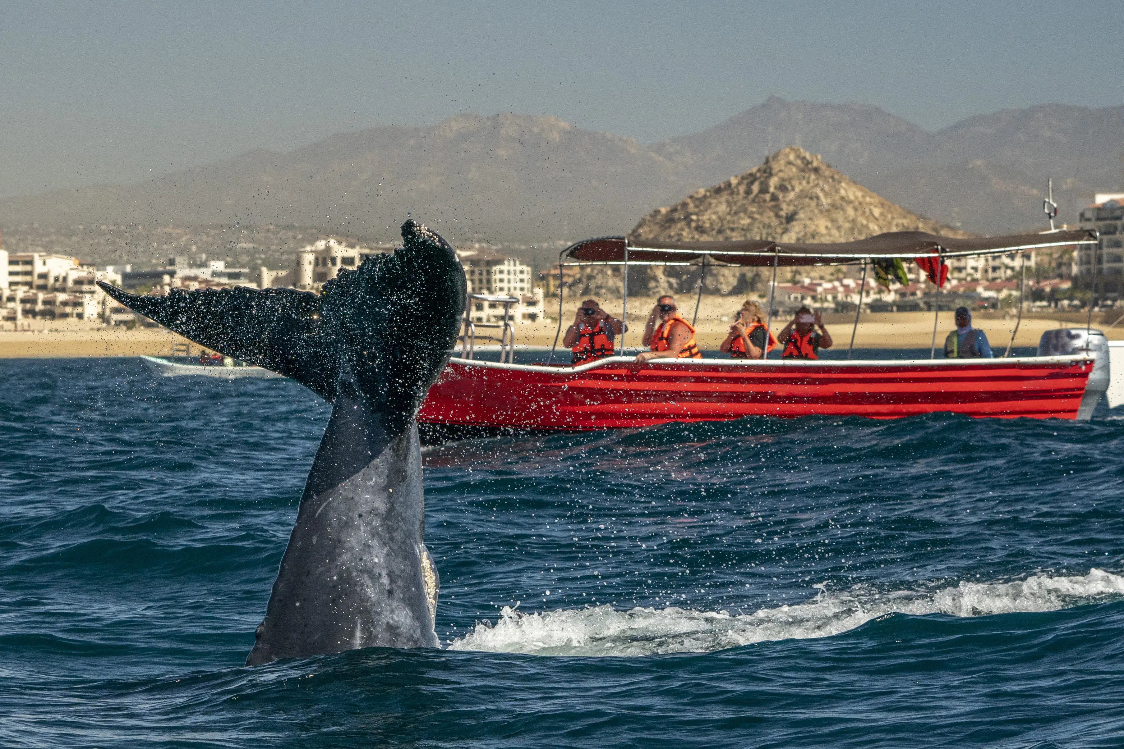 Mexico's best off-the-grid beaches – Lonely Planet - Lonely Planet