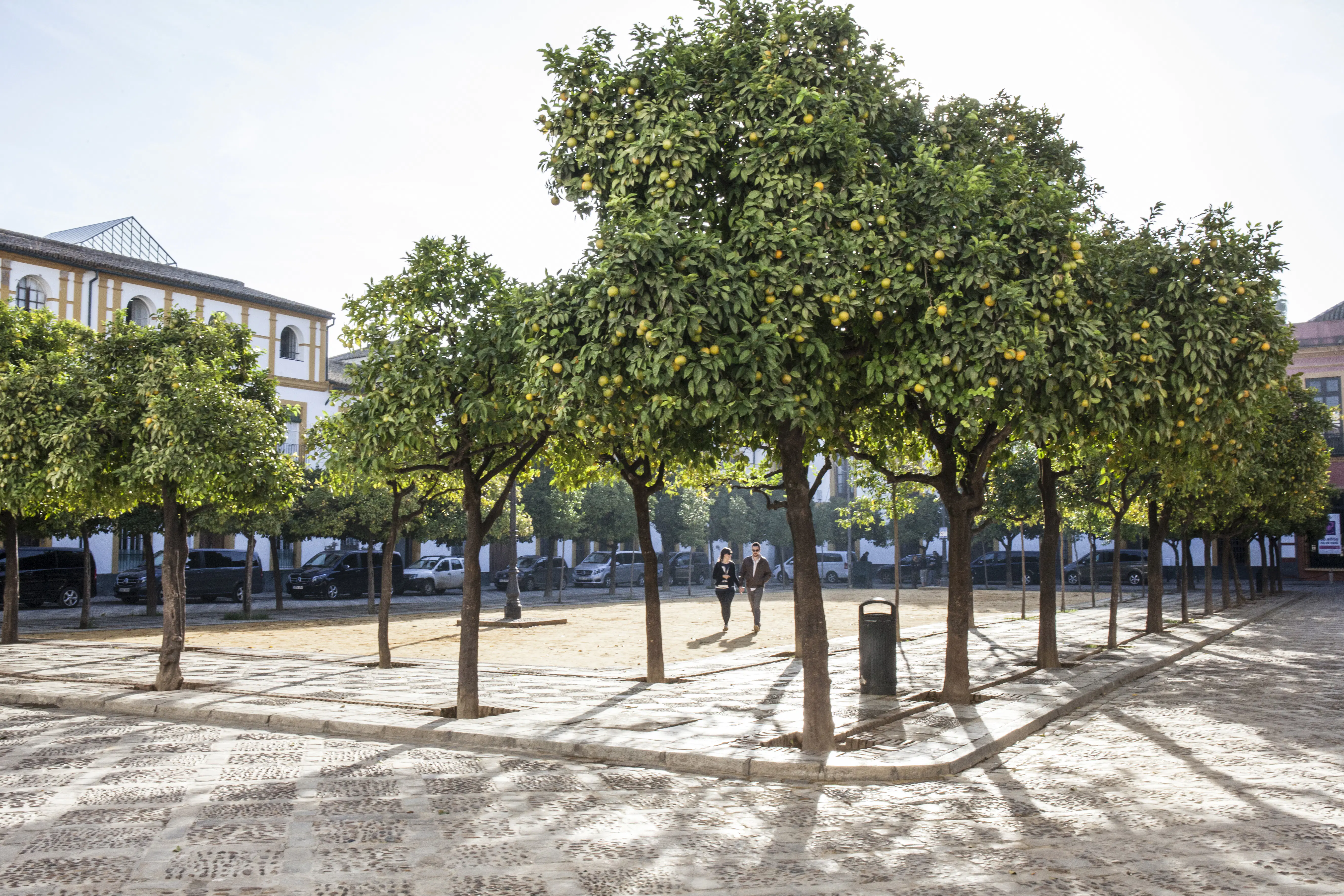 A first-time guide to the Costa Verde, Portugal - Lonely Planet