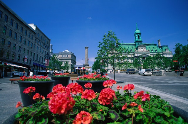 24 hours in Montréal - Lonely Planet
